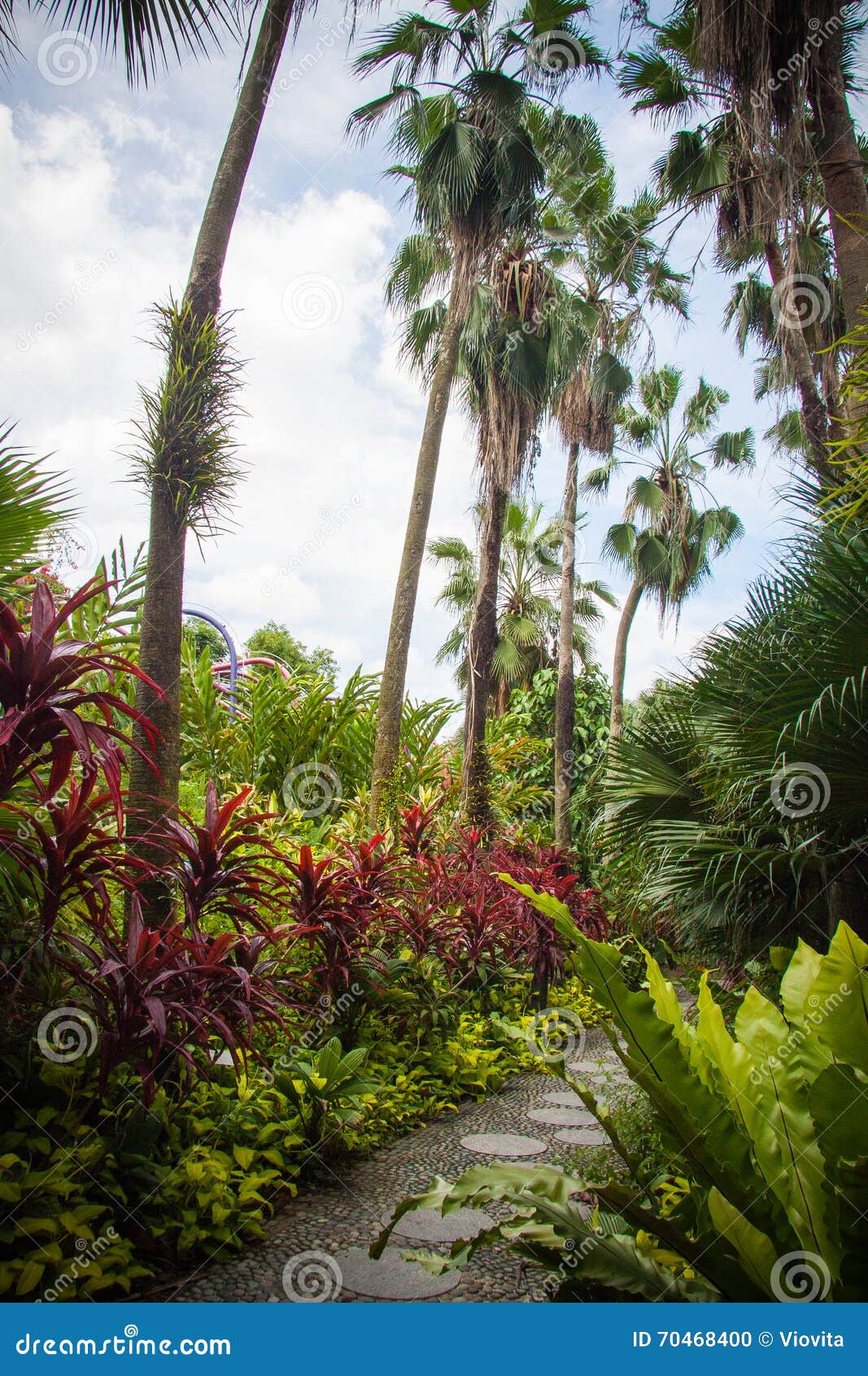 Beautiful tropic nature stock photo. Image of east, indonesian - 70468400