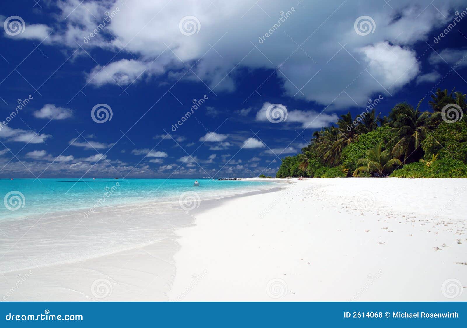 Beautiful tropical beach stock photo. Image of island - 2614068