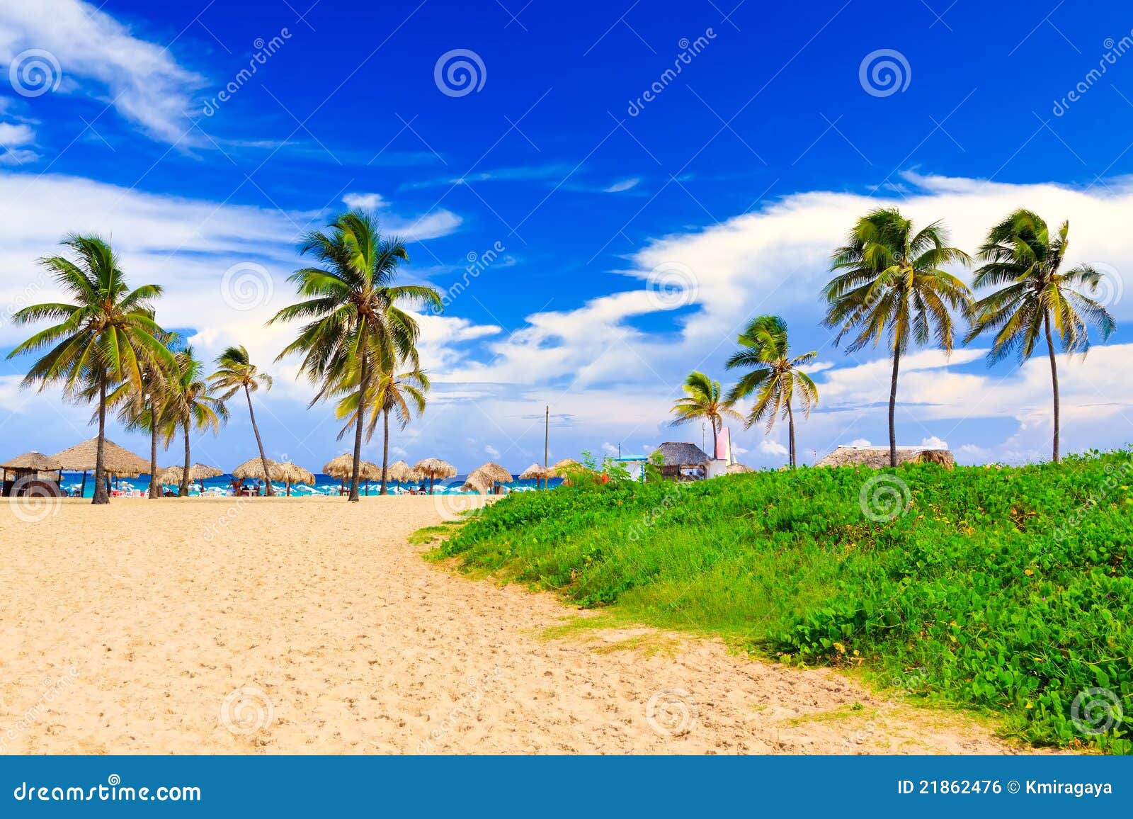 Beautiful Tropical Beach in Cuba Stock Photo - Image of person ...