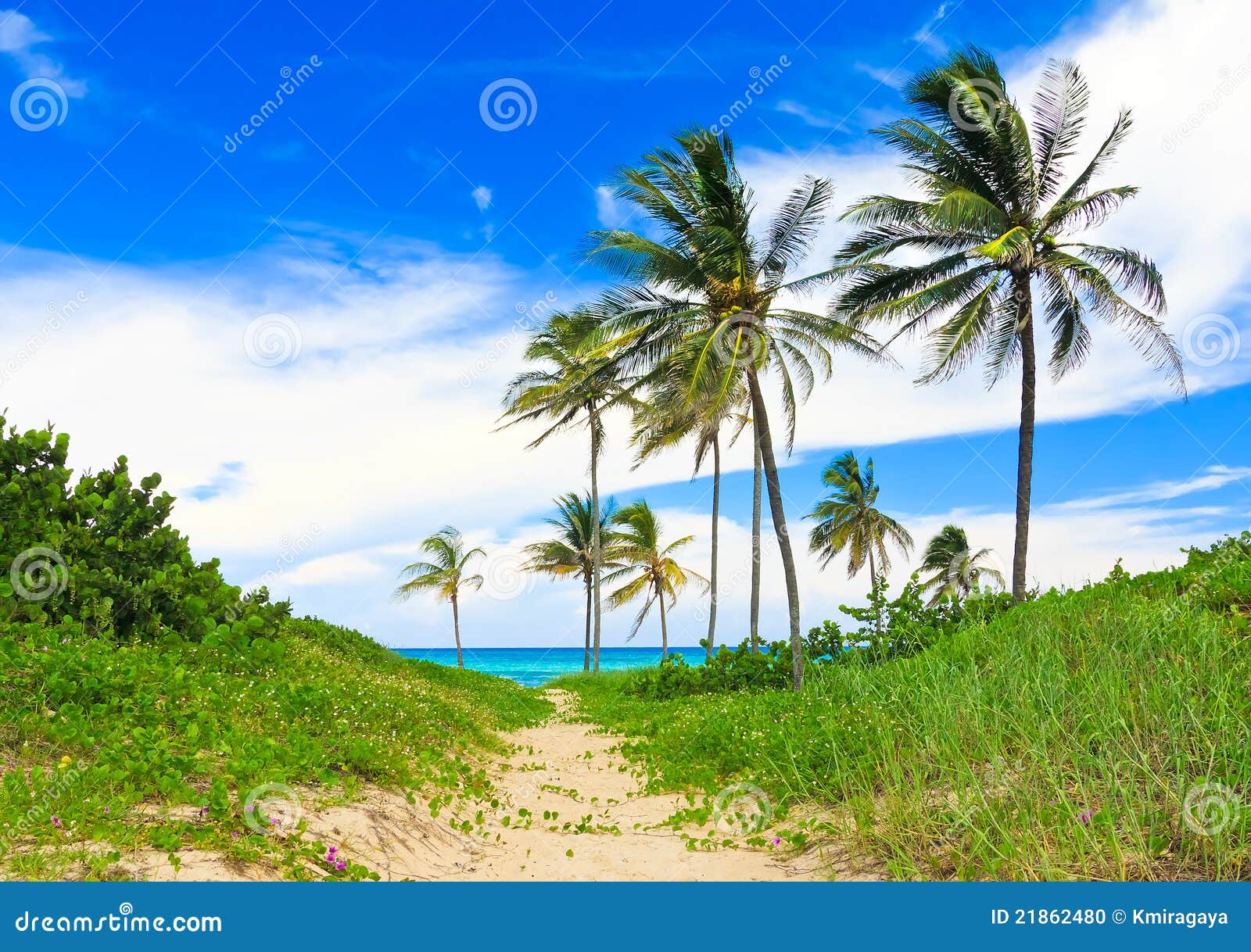 Beautiful Tropical Beach in Cuba Stock Photo - Image of american, cuban ...