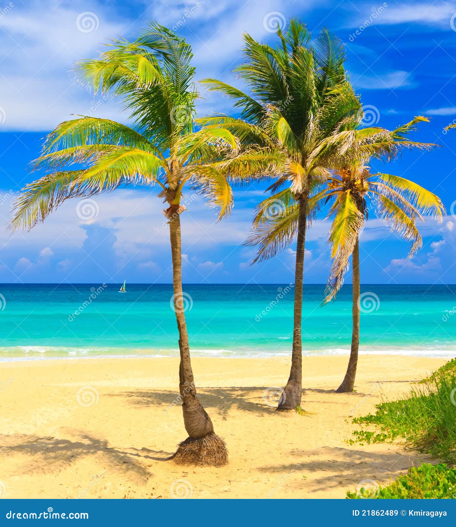 Beautiful Tropical Beach in Cuba Stock Image - Image of coast, beach ...