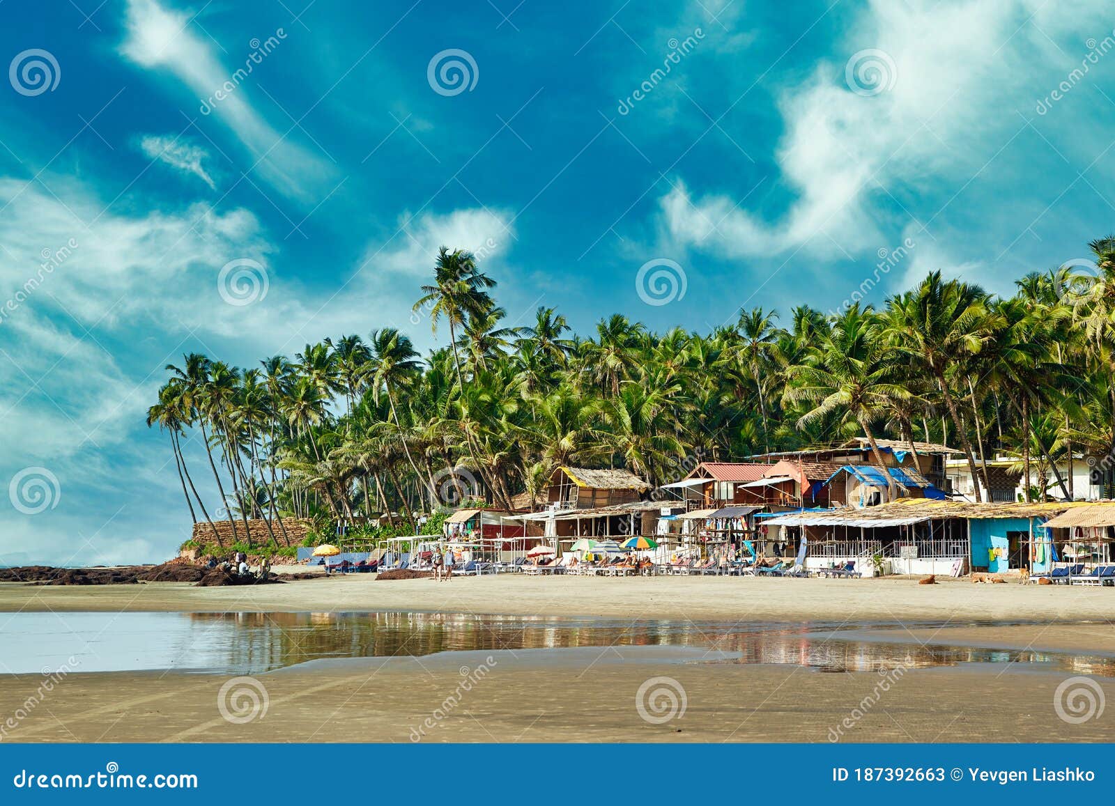 Beautiful Tropical Beach with Palms in Goa Editorial Stock Photo ...