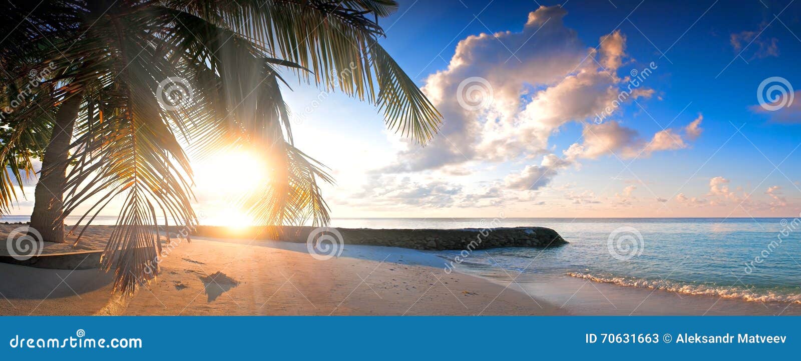 97,069 Tropical Horizontal Background Photos - Free & Royalty-Free ...