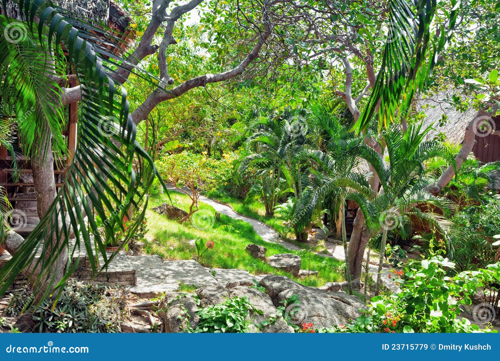 Beautiful tropical garden stock image. Image of color - 23715779