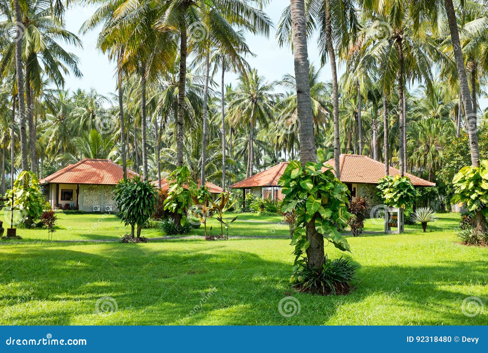Beautiful Tropical Garden on Java in Indonesia Stock Photo - Image of ...
