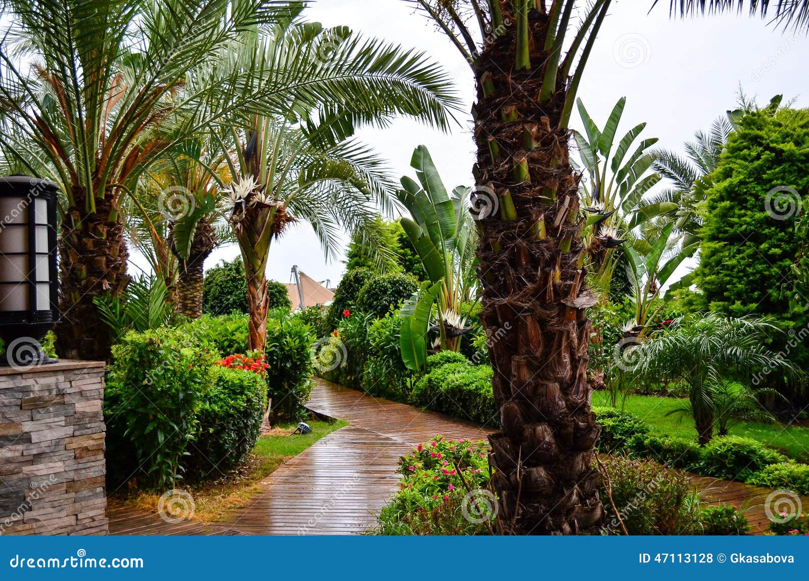 Beautiful Tropical Garden Path Stock Photo - Image of local, nice: 47113128