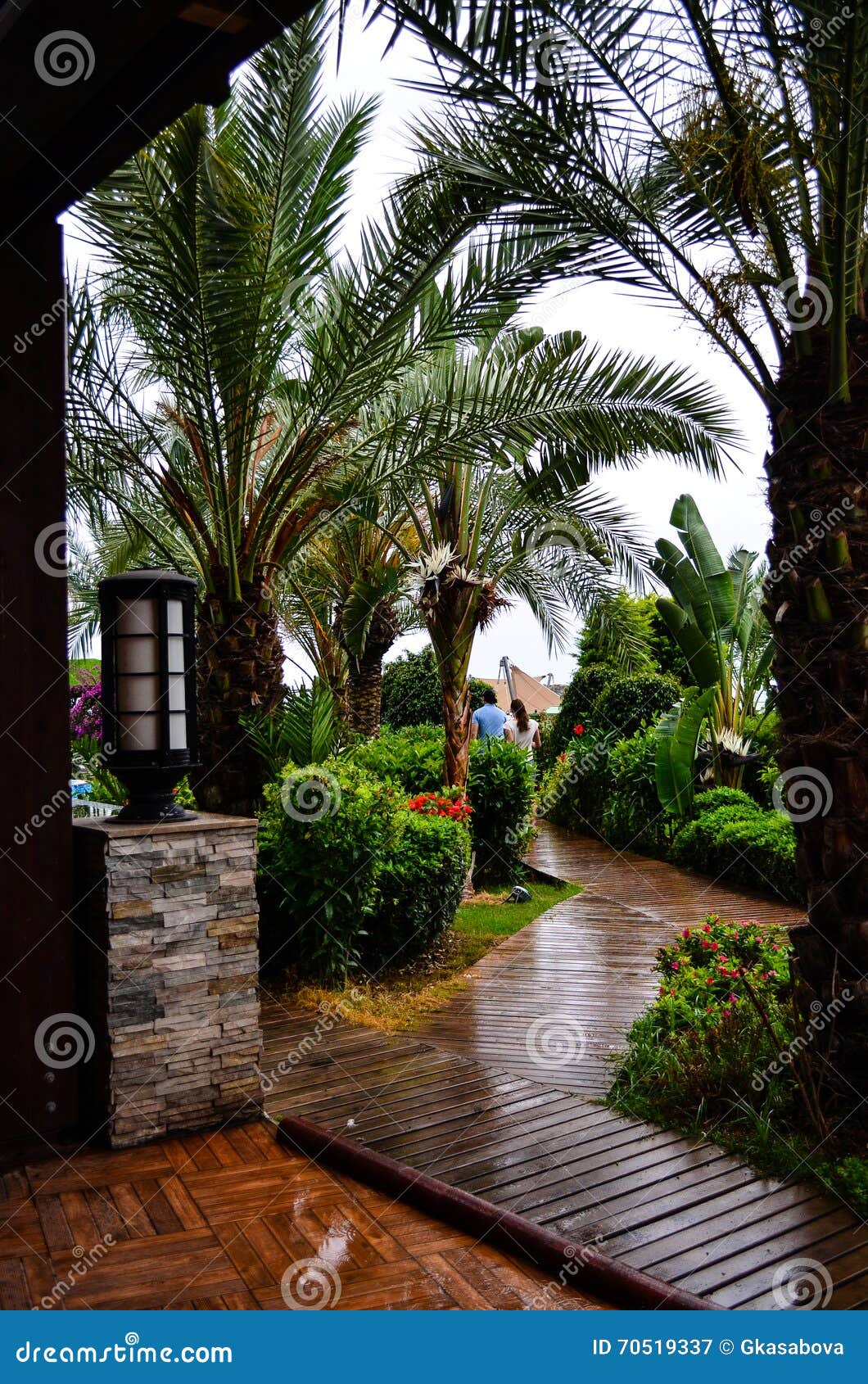 Beautiful Tropical Garden Path Stock Image - Image of foliage, local ...