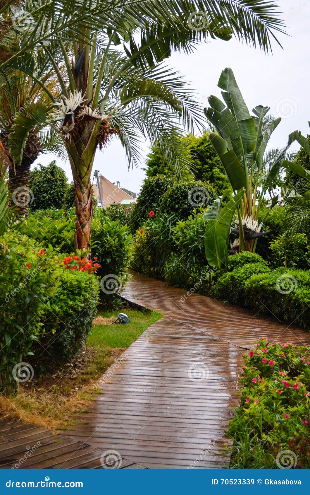 Beautiful Tropical Garden Path Stock Image - Image of large, view: 70523339