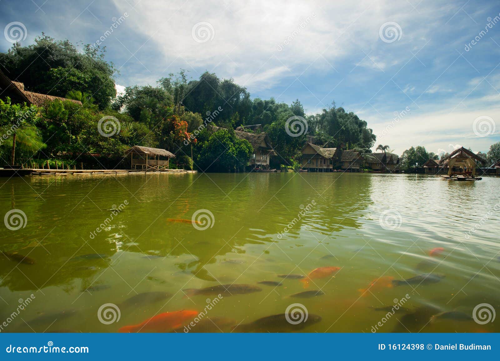 Tropical Lake With Green Trees Royalty-Free Stock Image | CartoonDealer ...