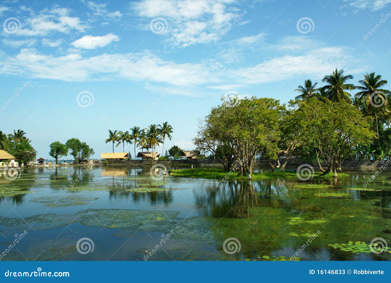 Beautiful Tropical Lake in Bali Island Stock Image - Image of ...