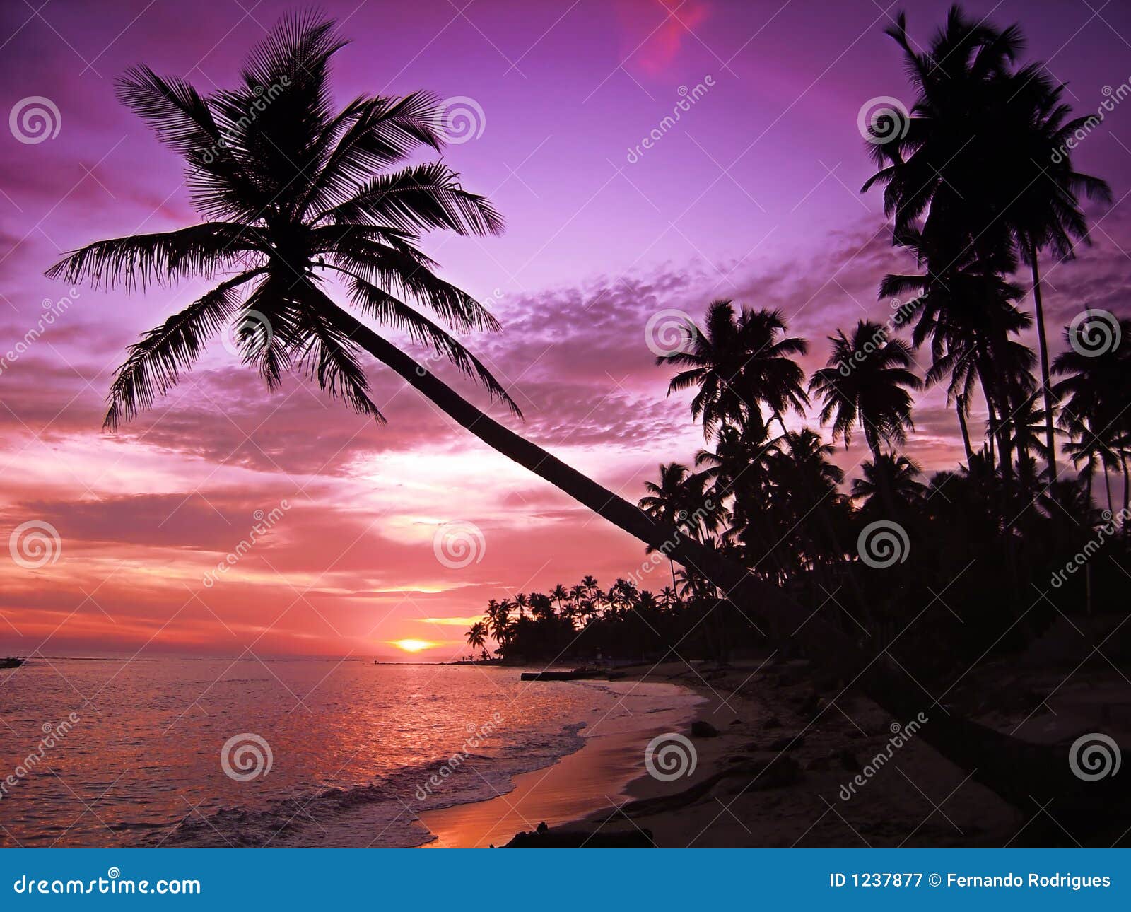 Beautiful tropical sunset stock image. Image of landscape - 1237877