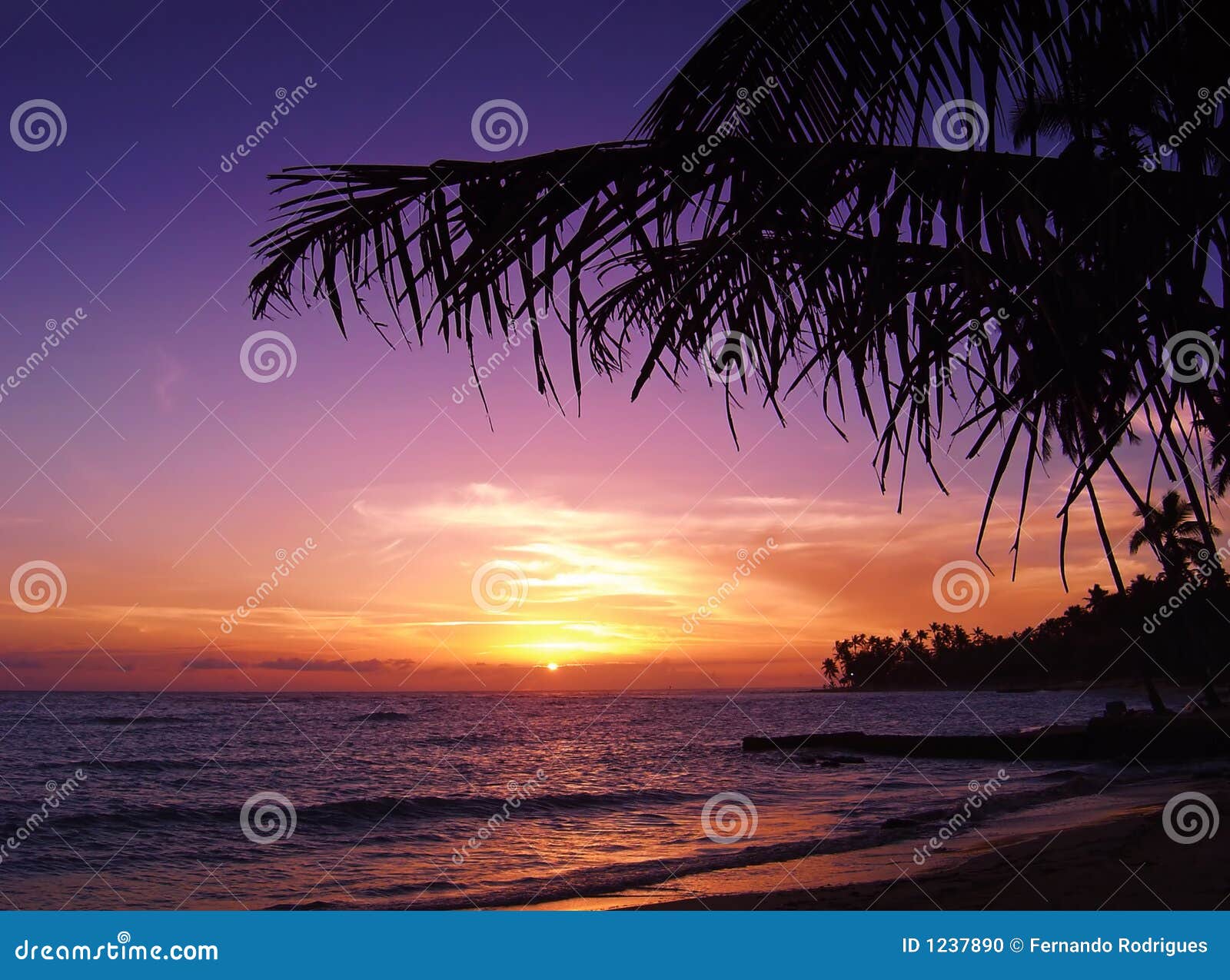 Beautiful tropical sunset stock photo. Image of dream - 1237890