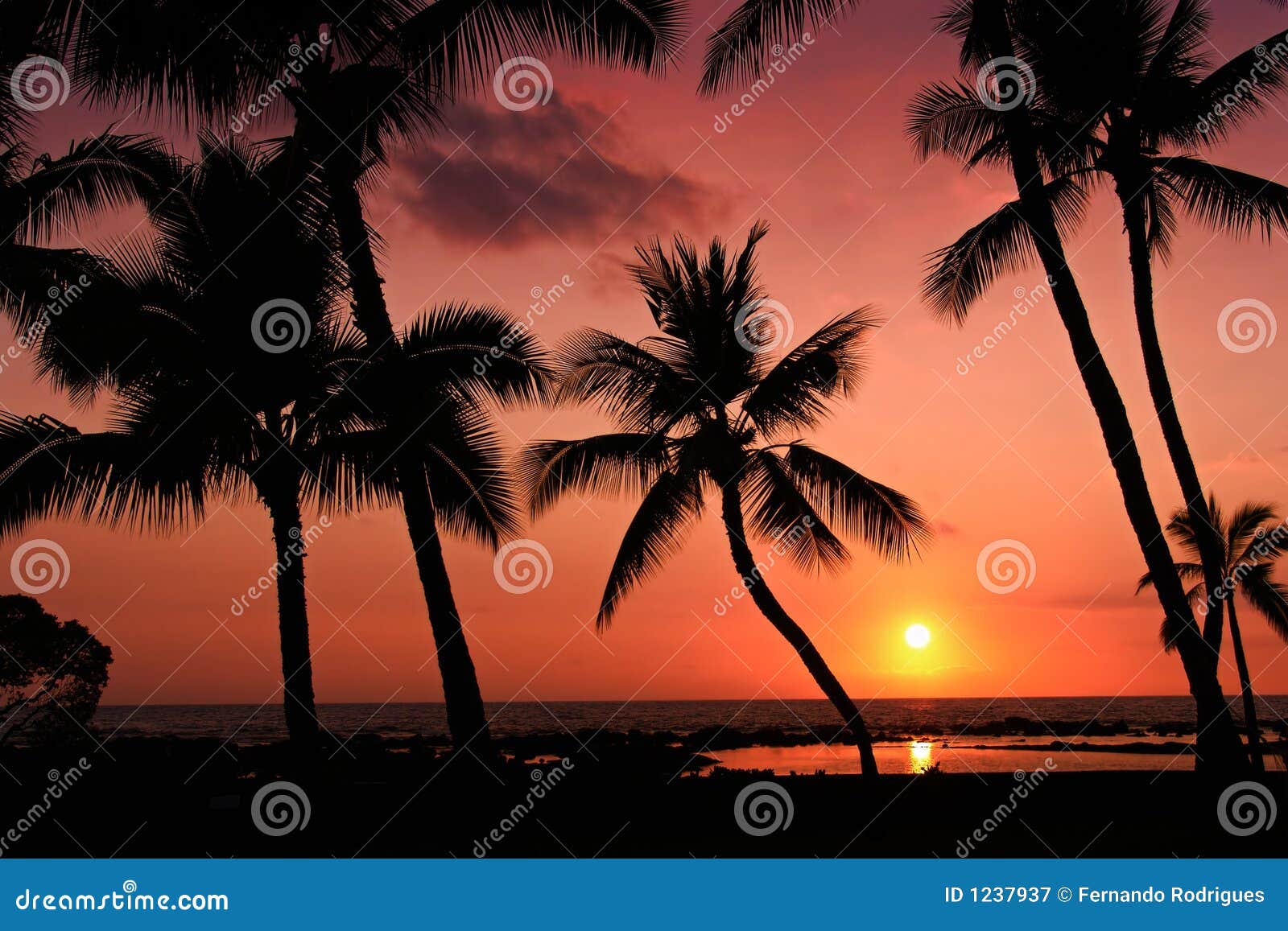 Beautiful tropical sunset stock image. Image of energy - 1237937
