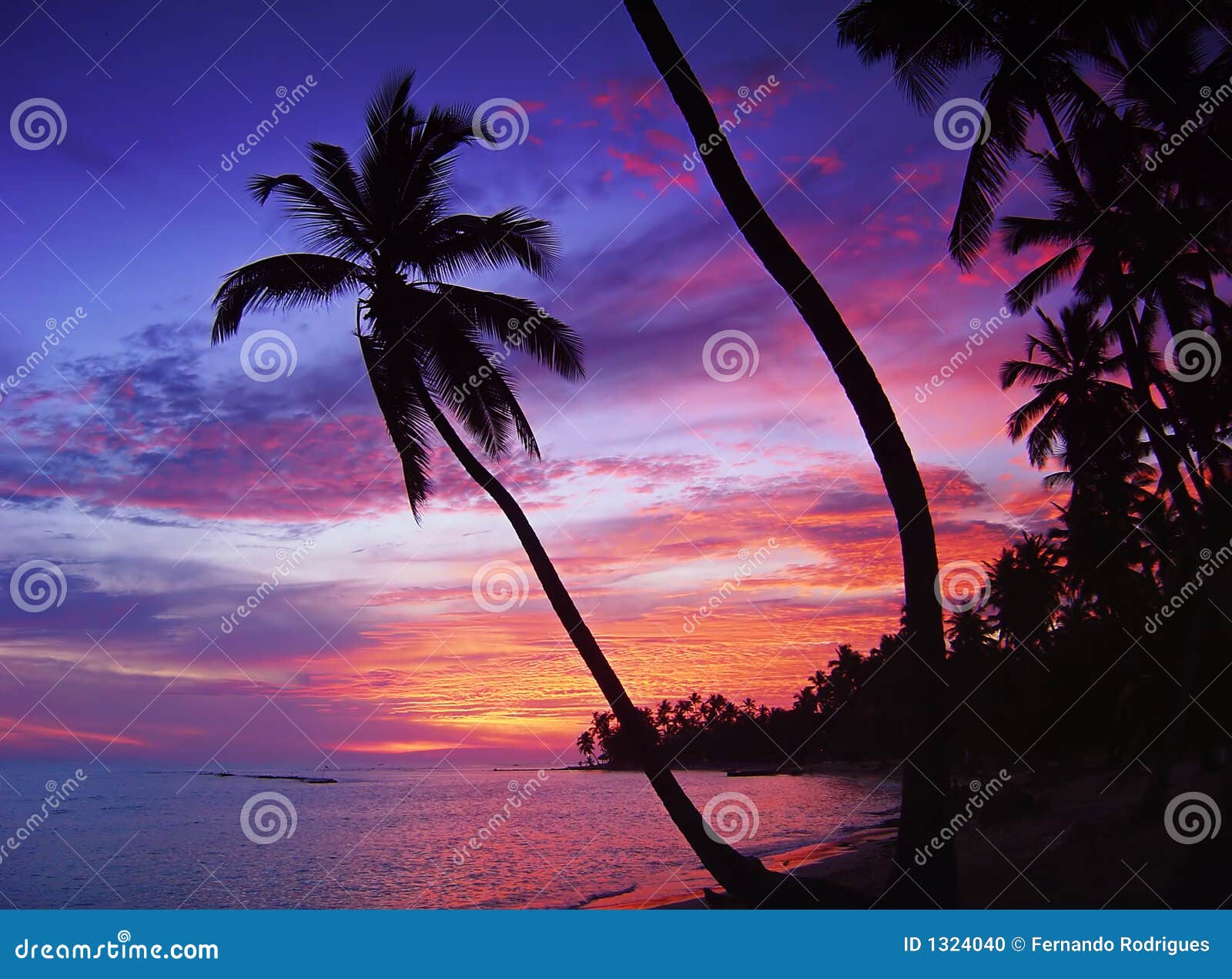 Beautiful tropical sunset stock photo. Image of recreation - 1324040