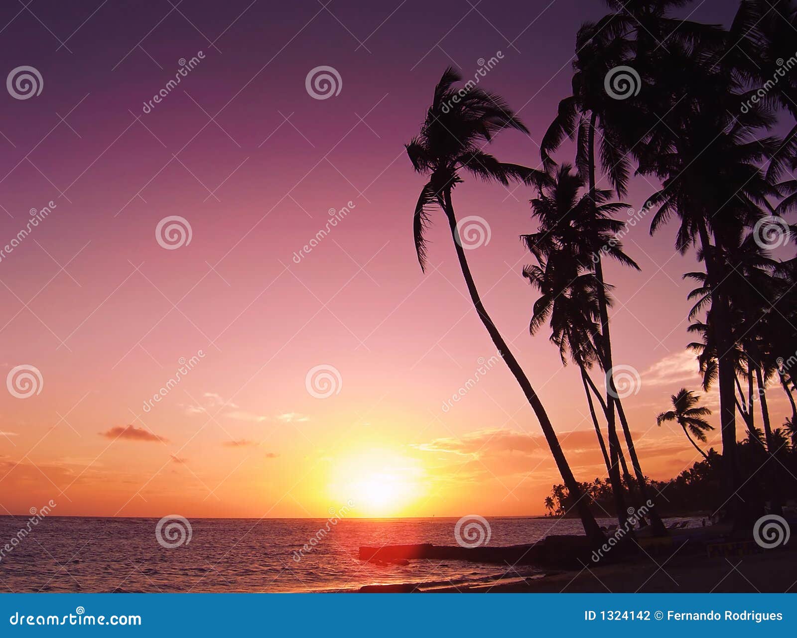 Beautiful tropical sunset stock photo. Image of outdoors - 1324142