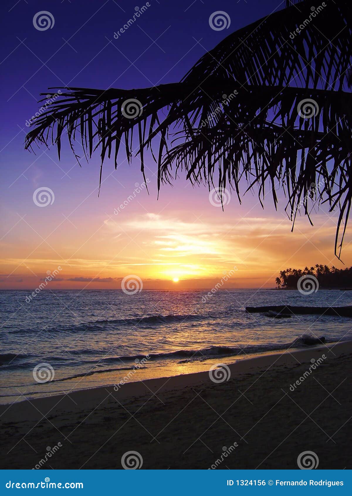 Beautiful tropical sunset stock photo. Image of landscape - 1324156