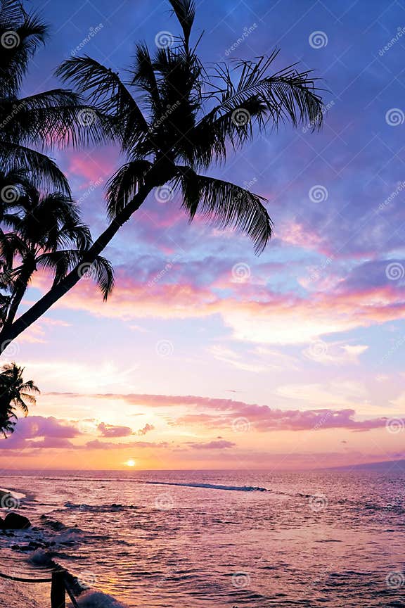 Beautiful Tropical Sunset stock photo. Image of sunset - 13679426