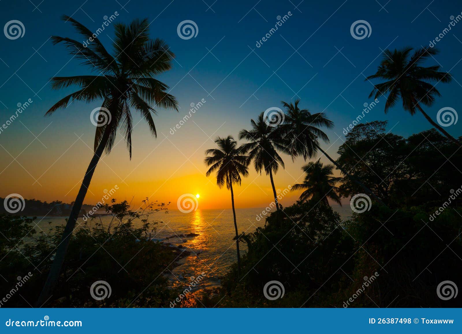 Beautiful tropical sunset stock photo. Image of horizon - 26387498