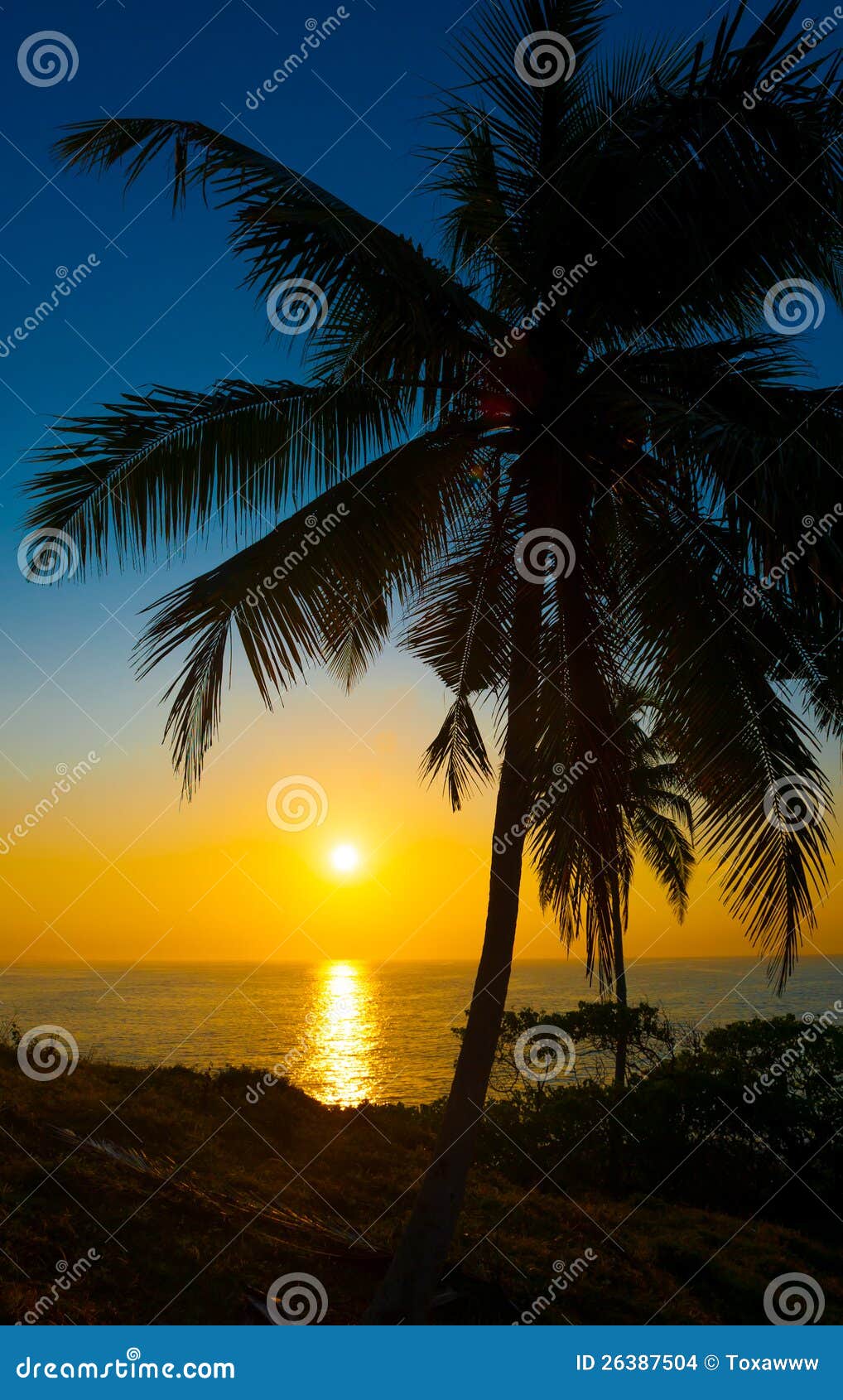 Beautiful tropical sunset stock photo. Image of scenic - 26387504