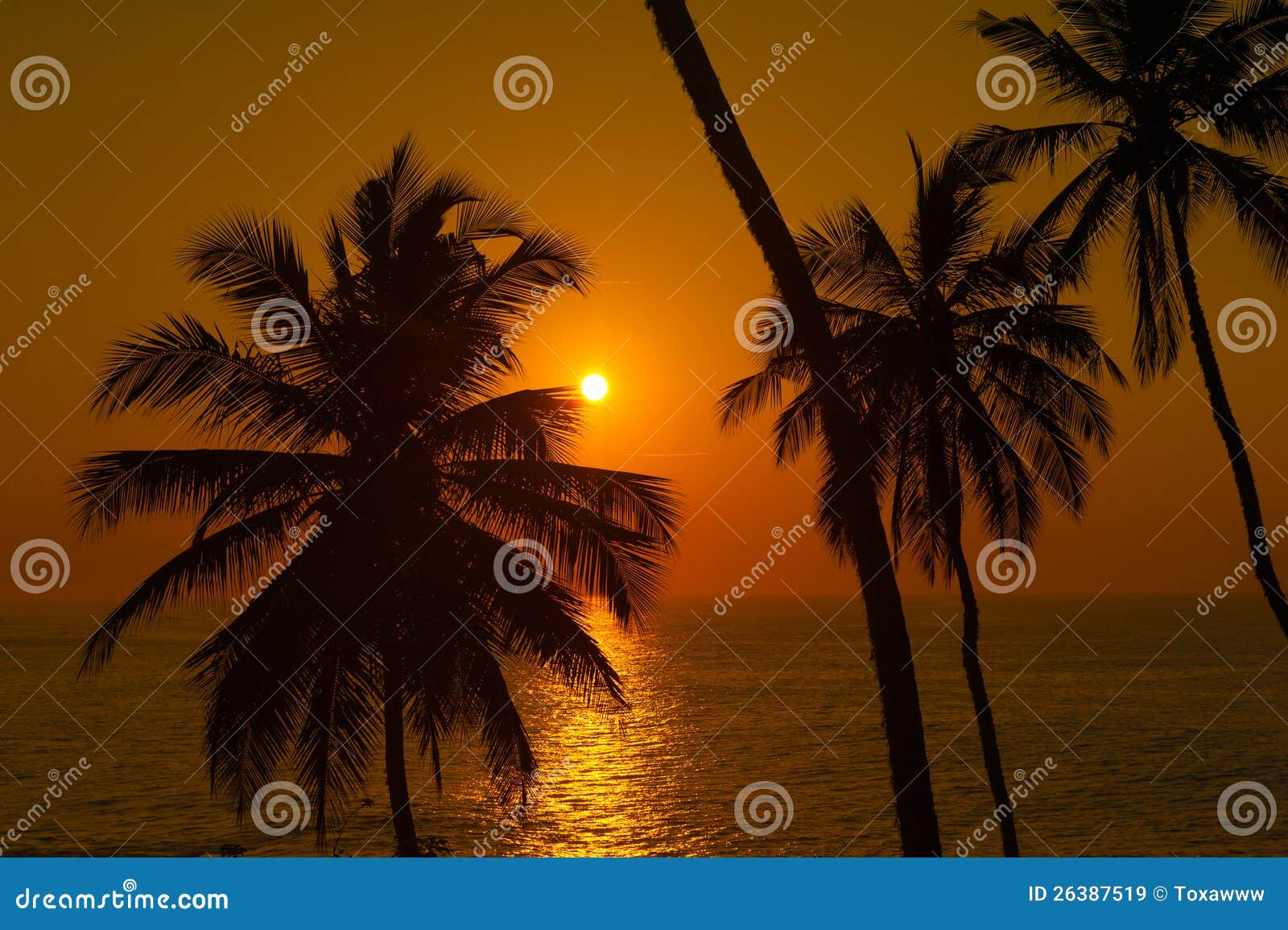 Beautiful tropical sunset stock image. Image of palm - 26387519