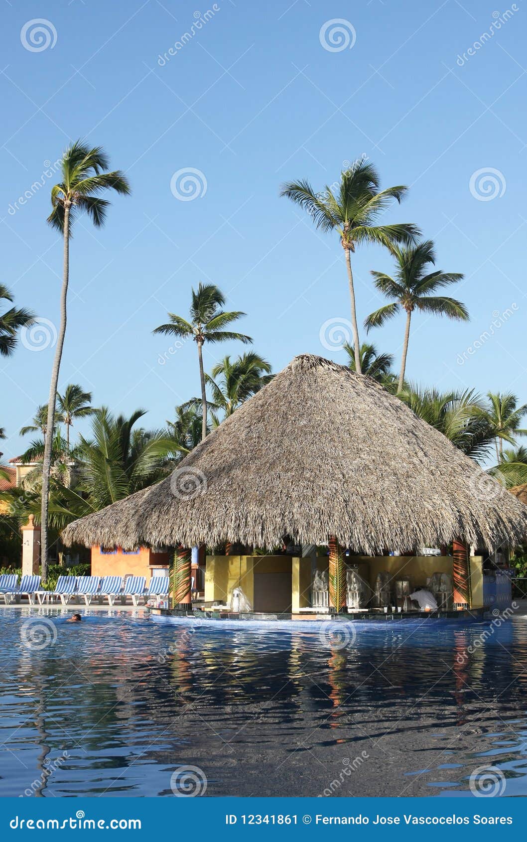Beautiful Tropical Swimming Pool Stock Image - Image of idyllic, resort ...