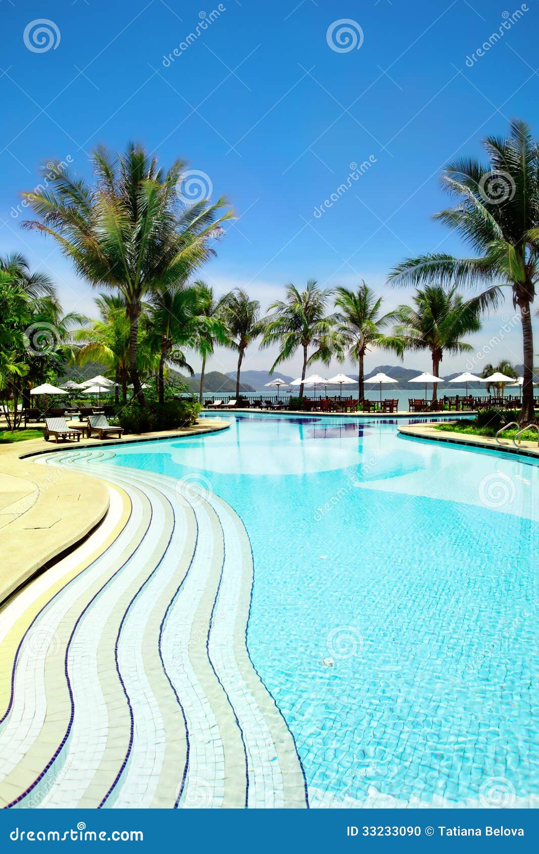 Beautiful Tropical Swimming Pool Stock Photo - Image of tree, luxury ...
