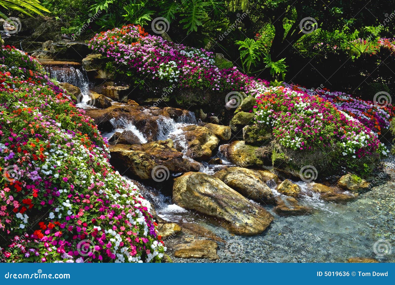 Beautiful Tropical Waterfall Stock Photo - Image of geological ...