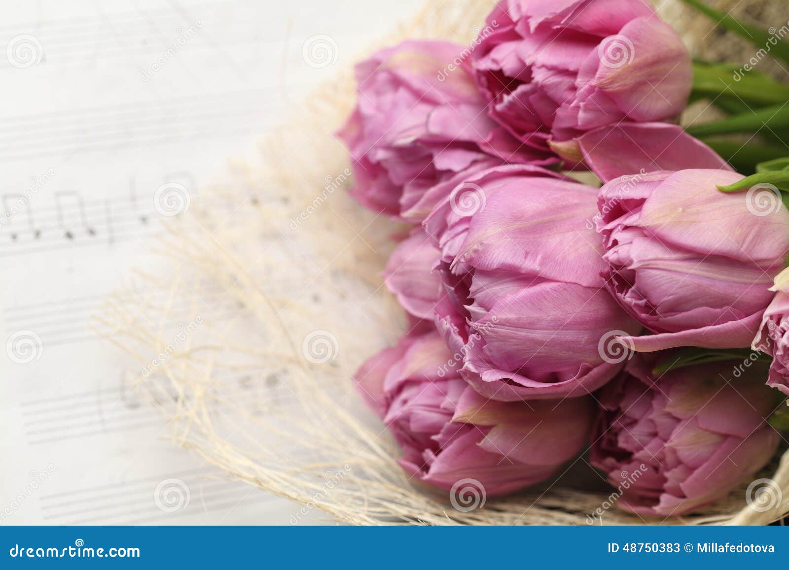 42,269 Beautiful Note Paper Stock Photos - Free & Royalty-Free Stock ...