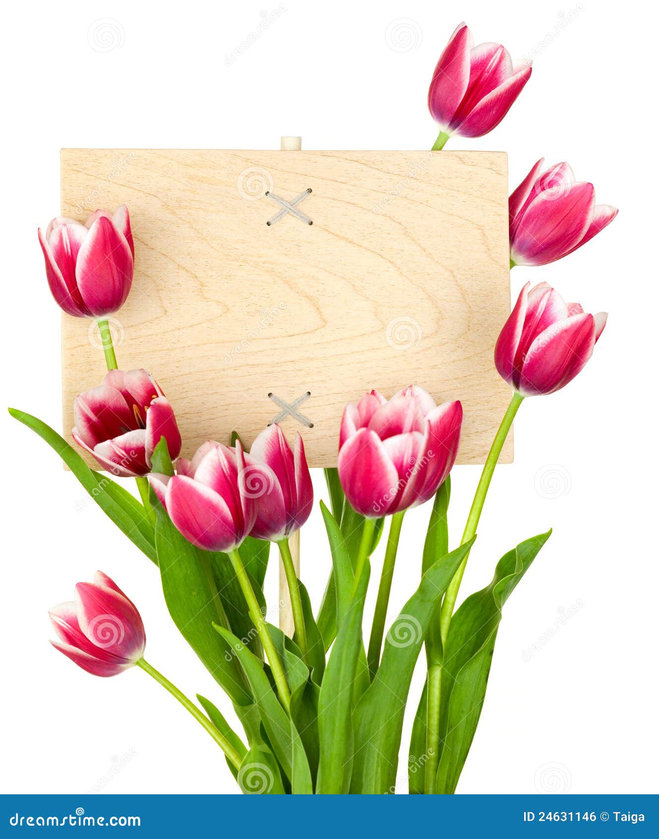 Beautiful Tulips and Empty Sign for Message Stock Photo - Image of ...