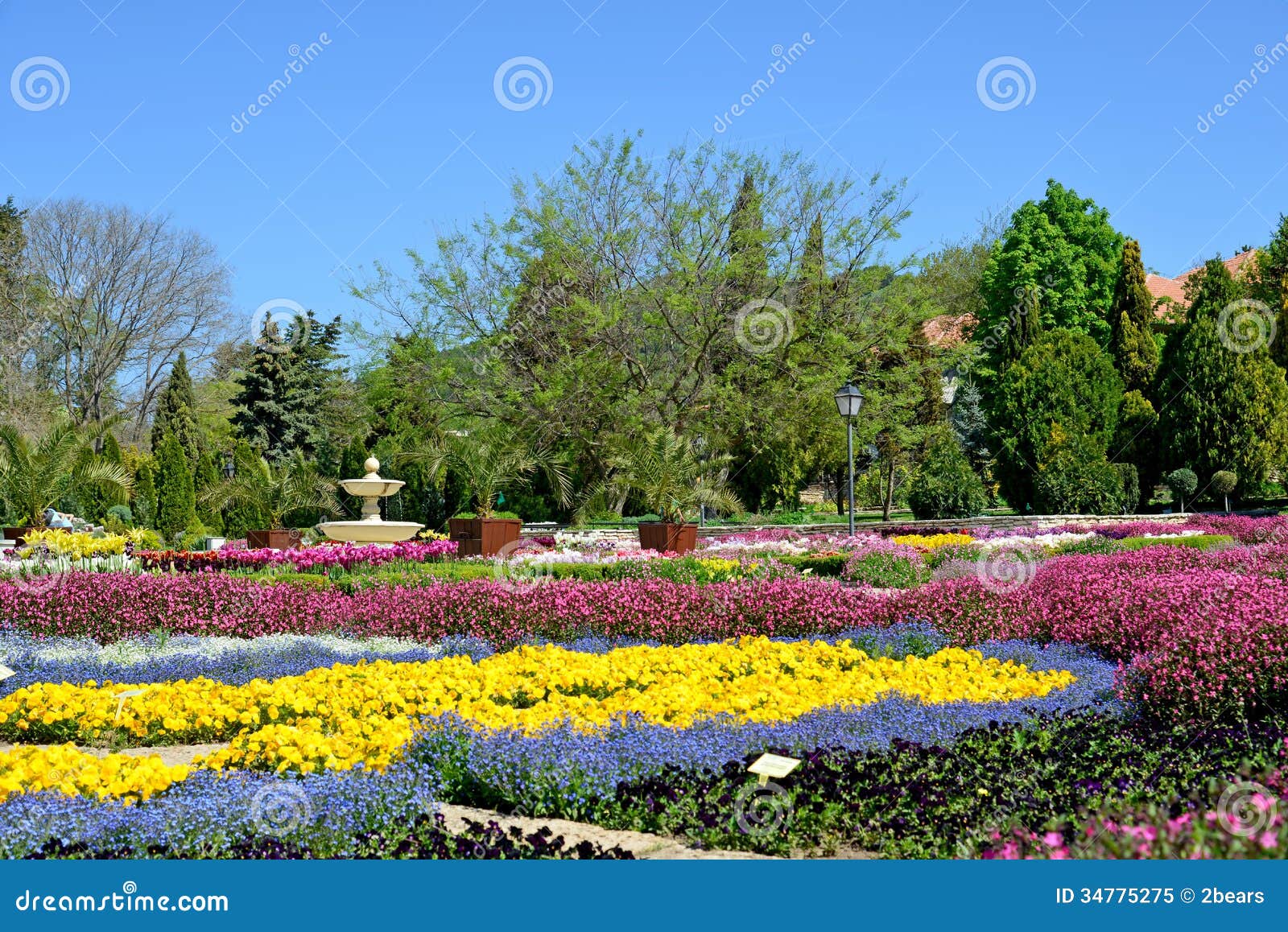 Beautiful tulips in garden stock image. Image of petal - 34775275