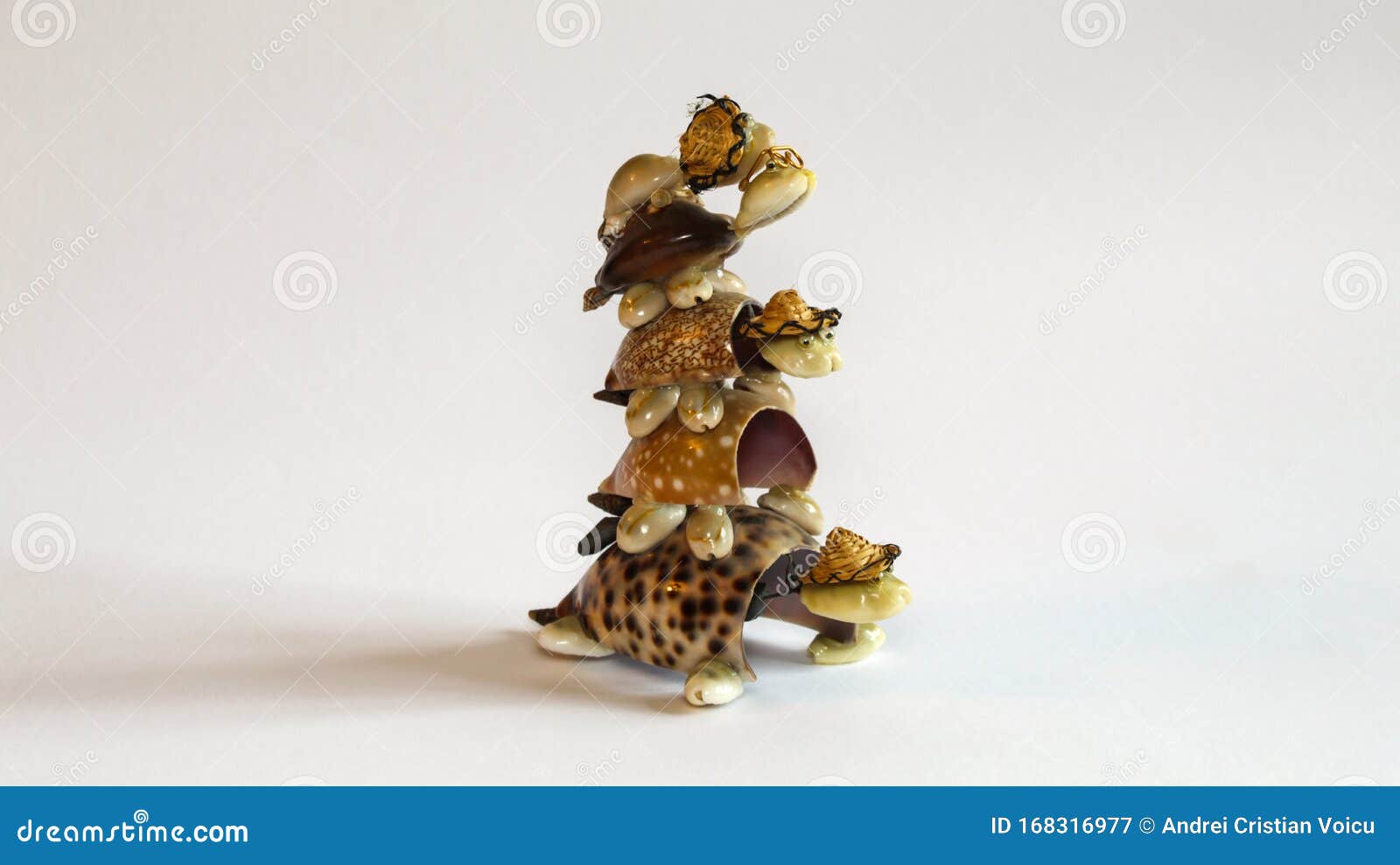 Turtle made of snail shell stock image. Image of beautiful - 168316977