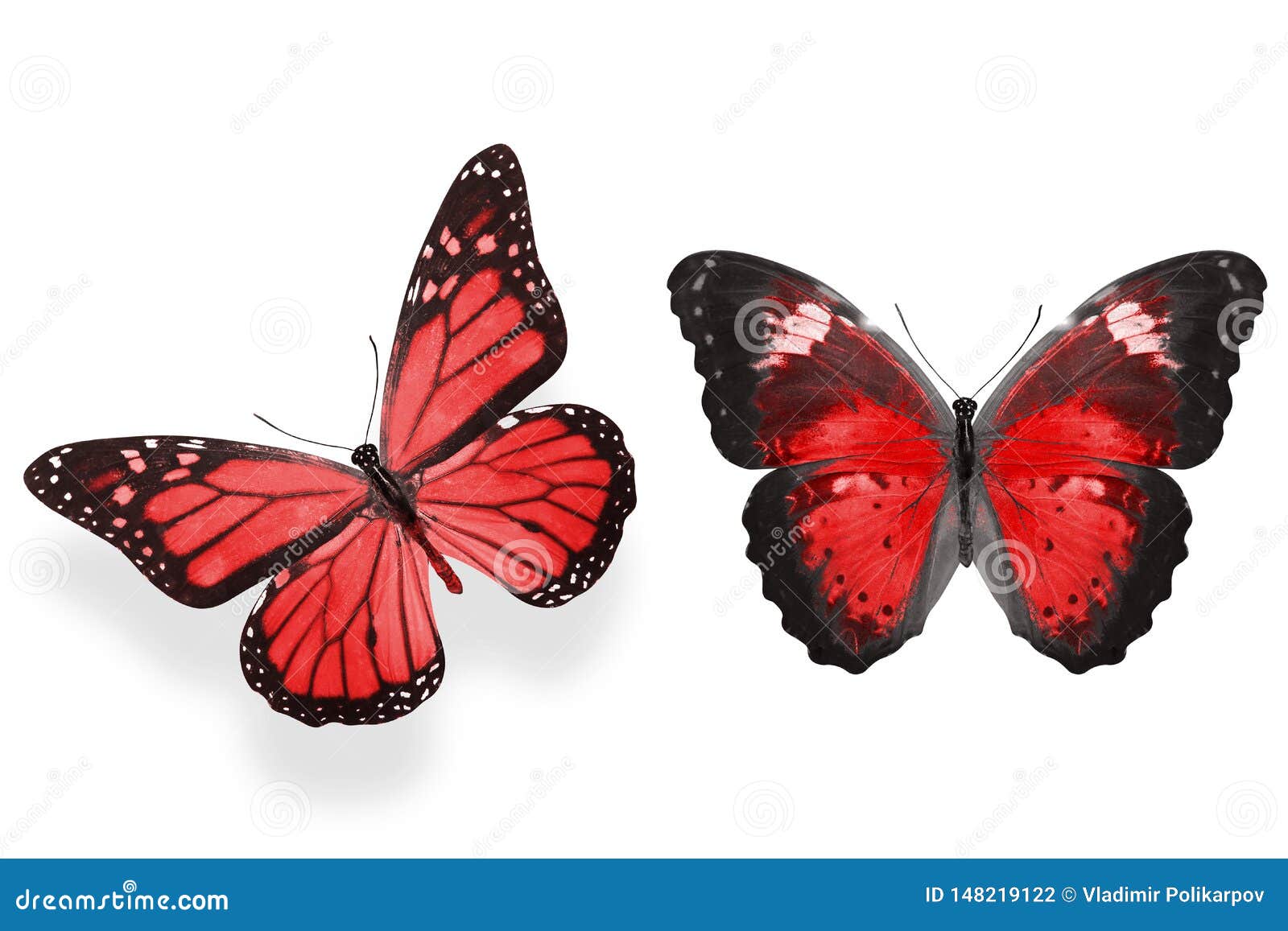 Set Of Red Butterflies Isolated On A White Background. Flock Of Colored ...