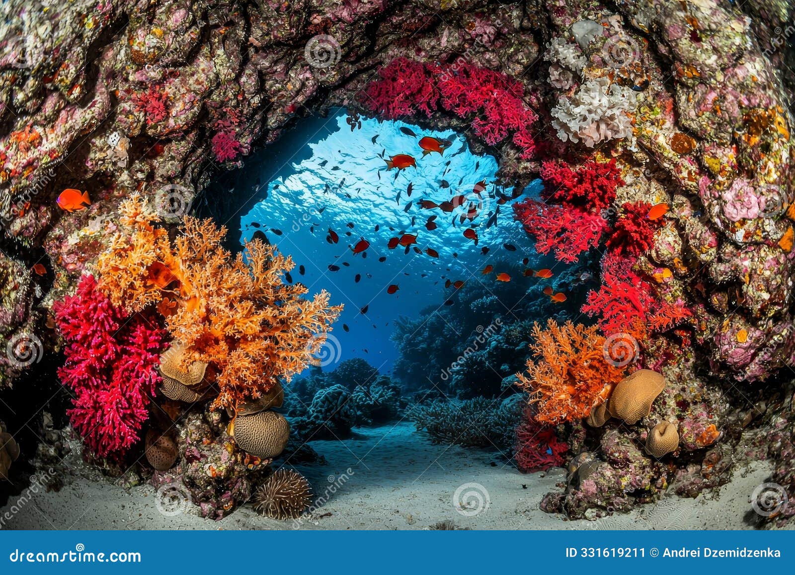 Beautiful Underwater Fantasy Landscape with a Hidden Ecosystem. Stock ...