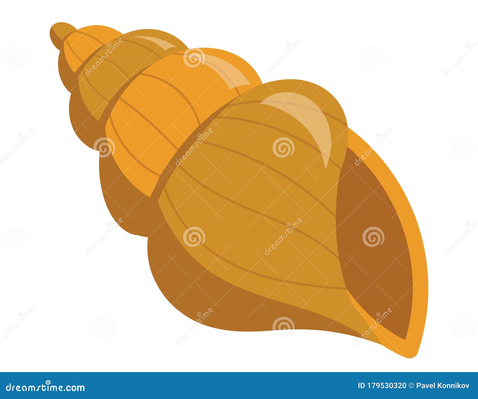 Beautiful Underwater Shell. Stock Vector - Illustration of wildlife ...
