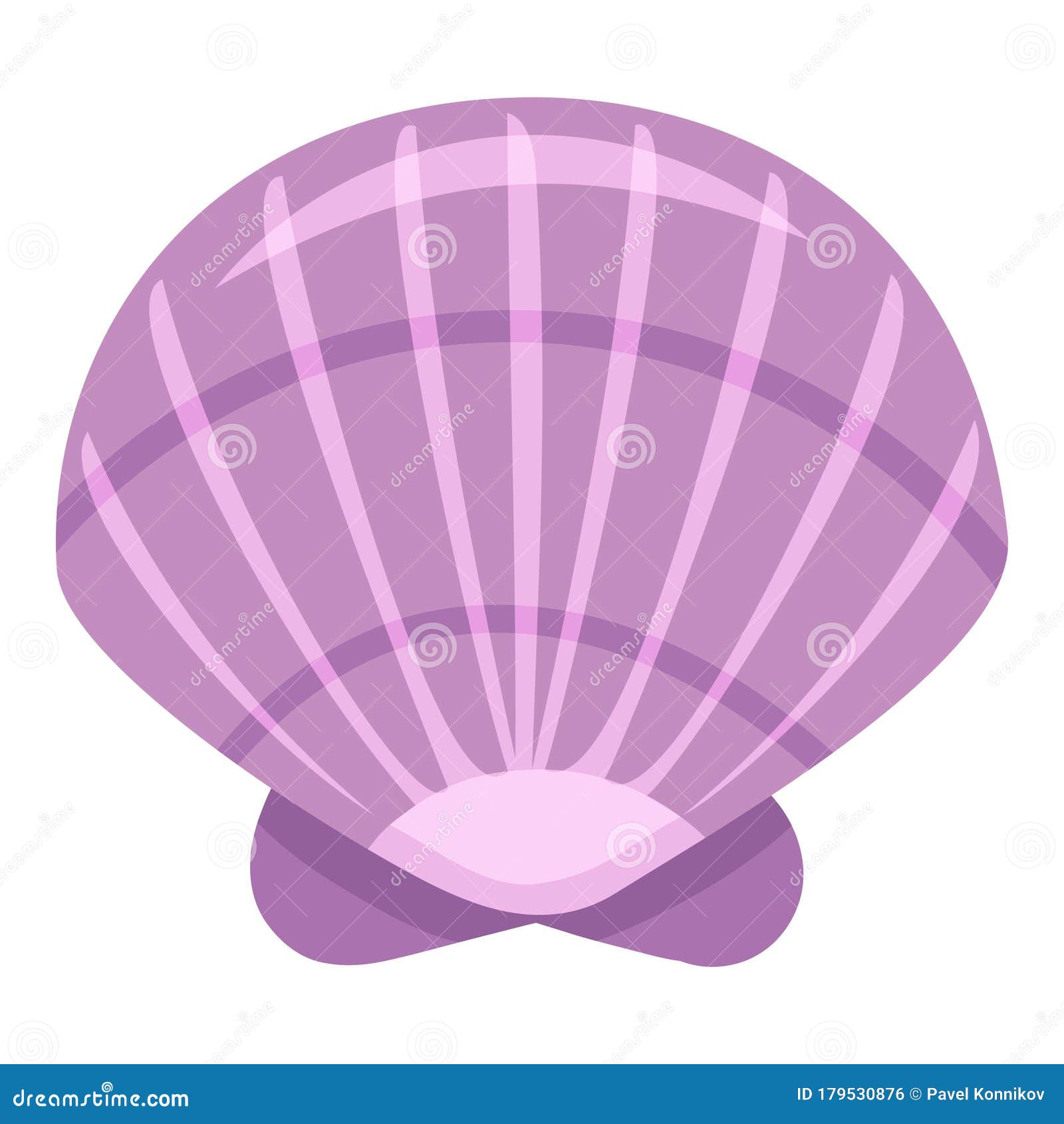 Beautiful Underwater Shell. Stock Vector - Illustration of isolated ...