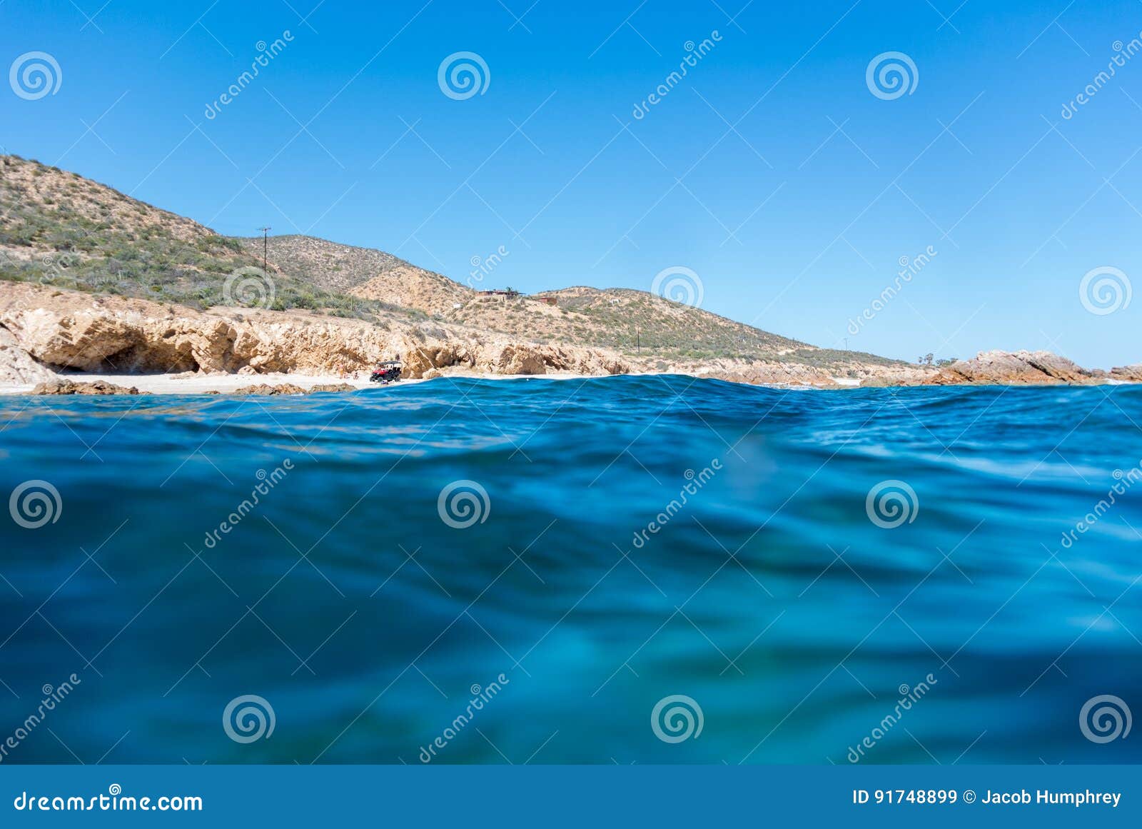 Beautiful Underwater View of the Baja Coast Stock Image - Image of ...