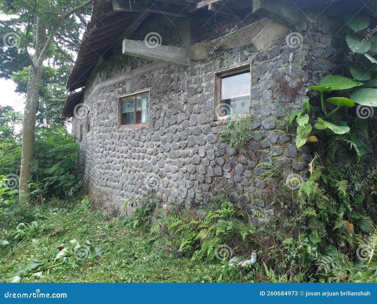 Beautiful and Unique House Textures Around the Forest Stock Image ...