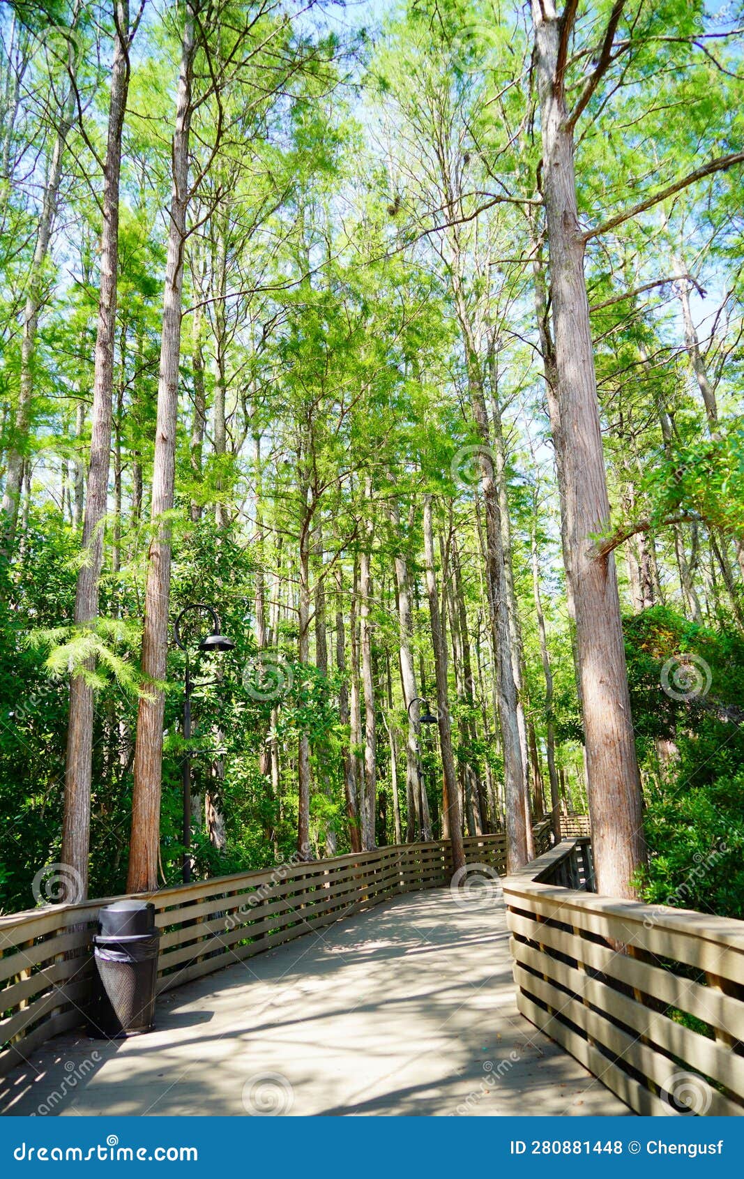 Beautiful the University of Central Florida Campus Trail Stock Photo ...