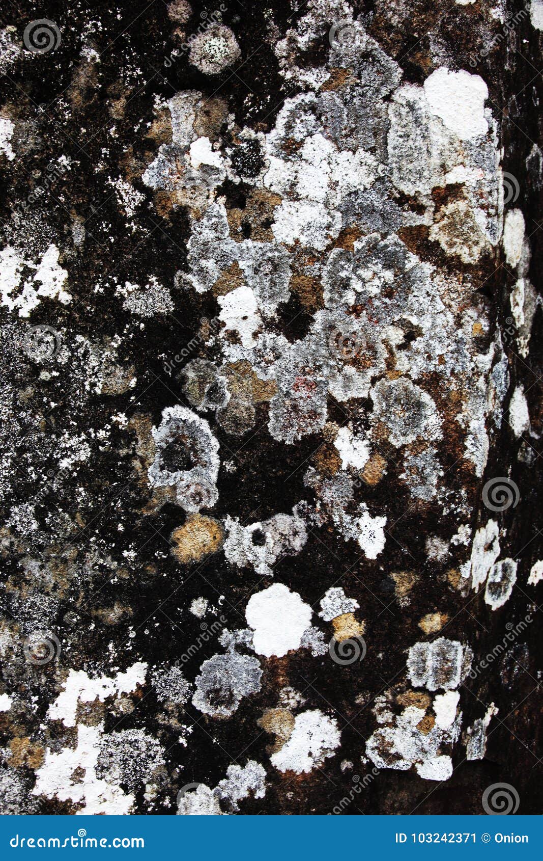 Beautiful Natural Rock Textures in Black and White Stock Image - Image ...