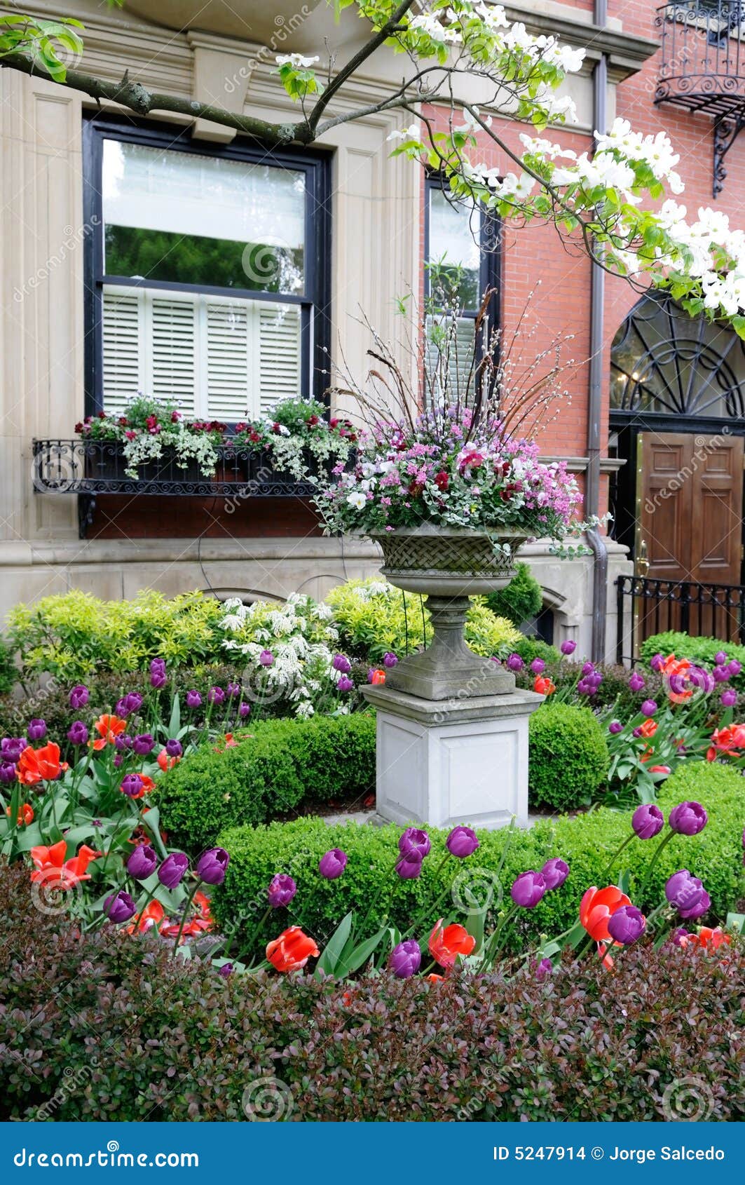 Beautiful urban garden stock photo. Image of lifestyles - 5247914