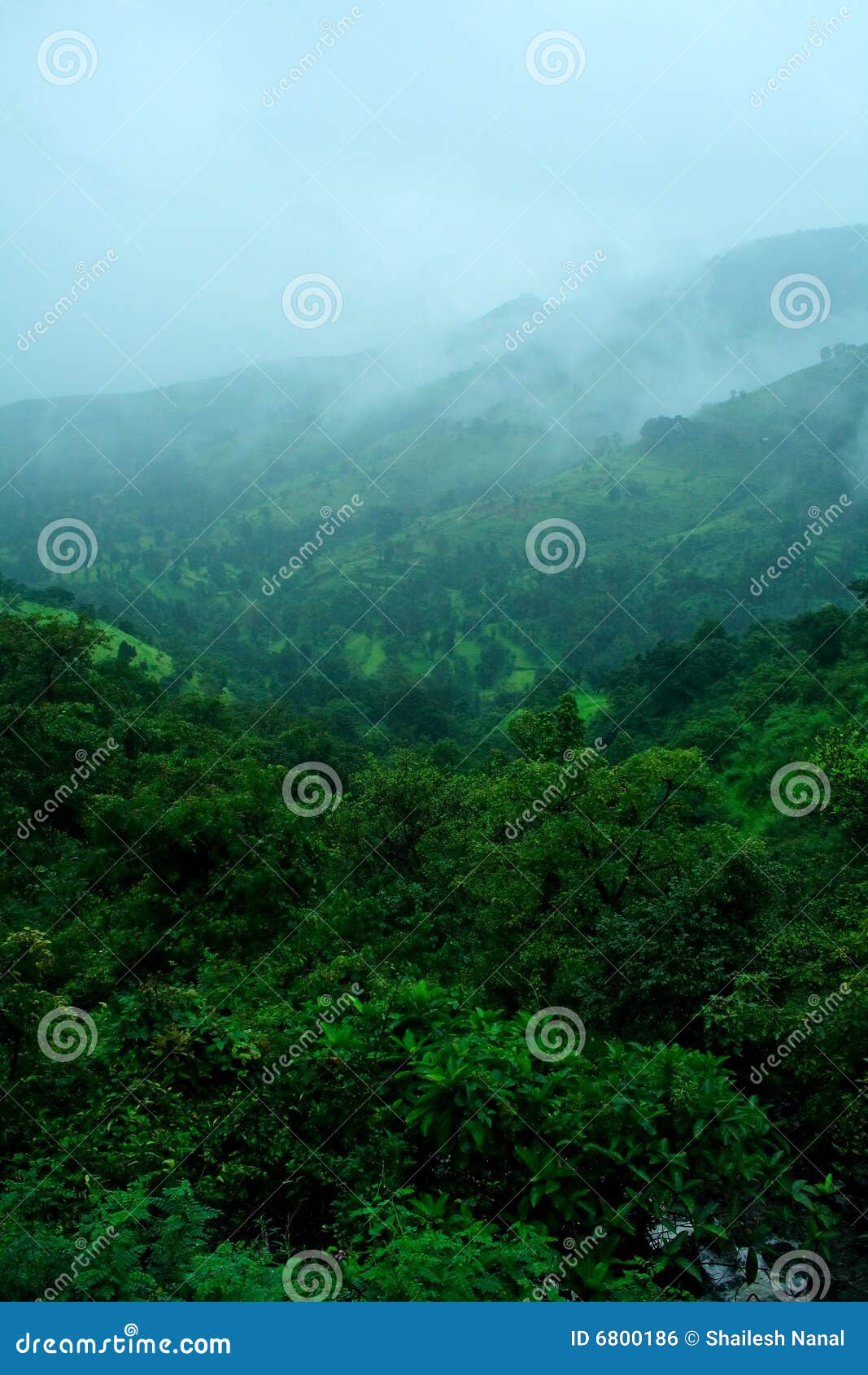 Beautiful Valley Color in Monsoon Stock Photo - Image of trees, clouds ...