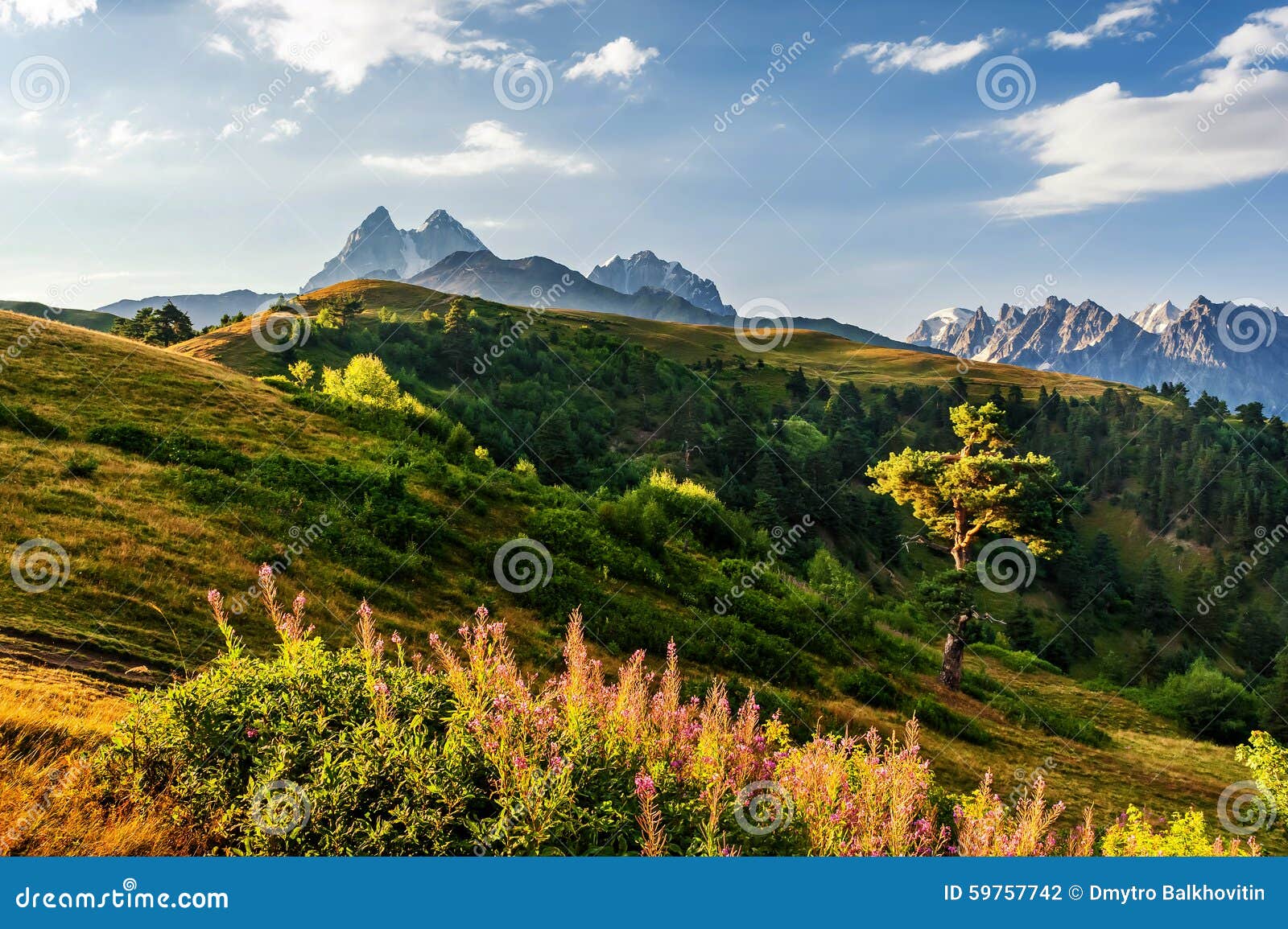 Beautiful Valley with Mountains Stock Photo - Image of freedom ...