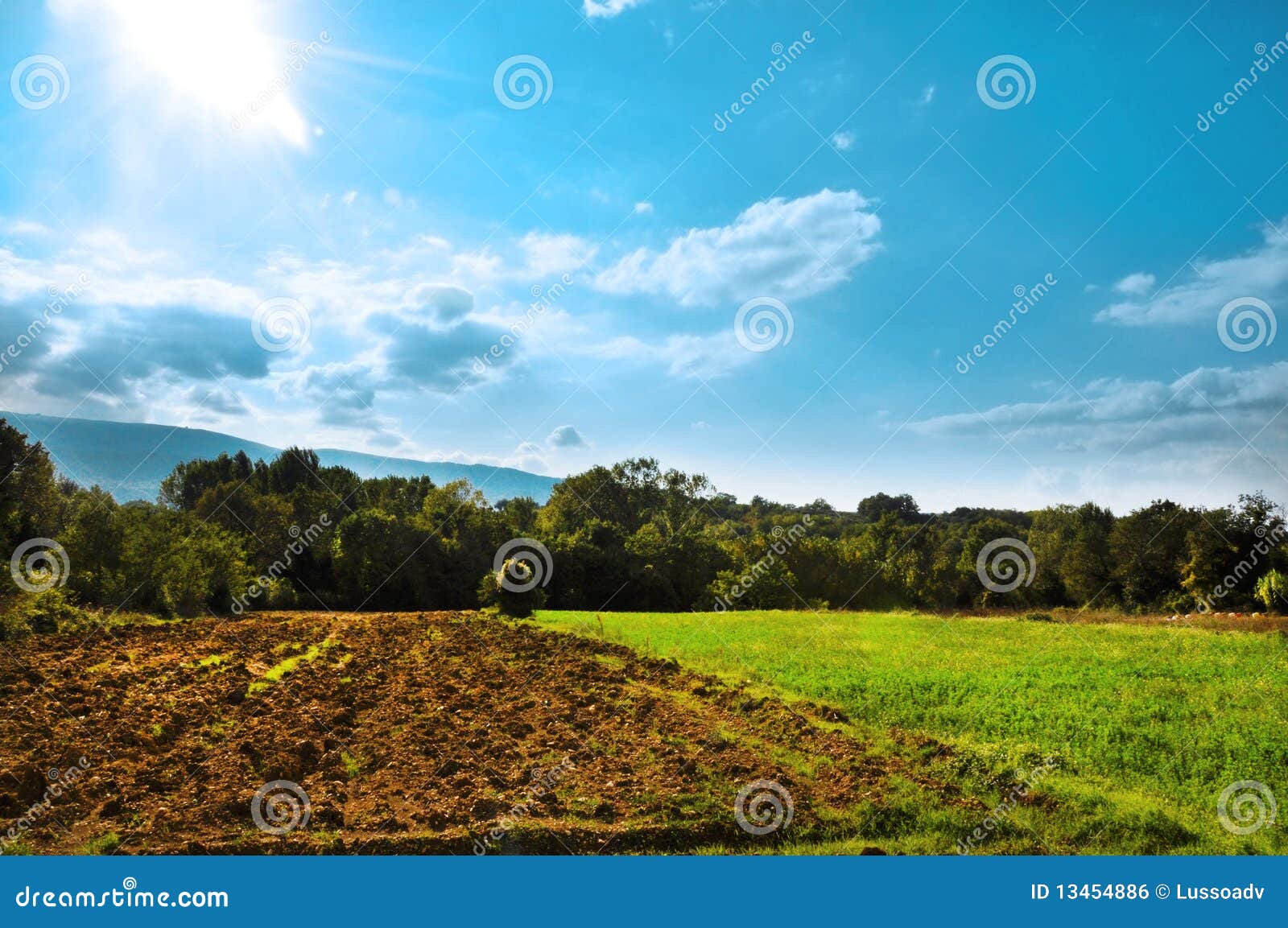 Beautiful valley with sun stock photo. Image of growing - 13454886