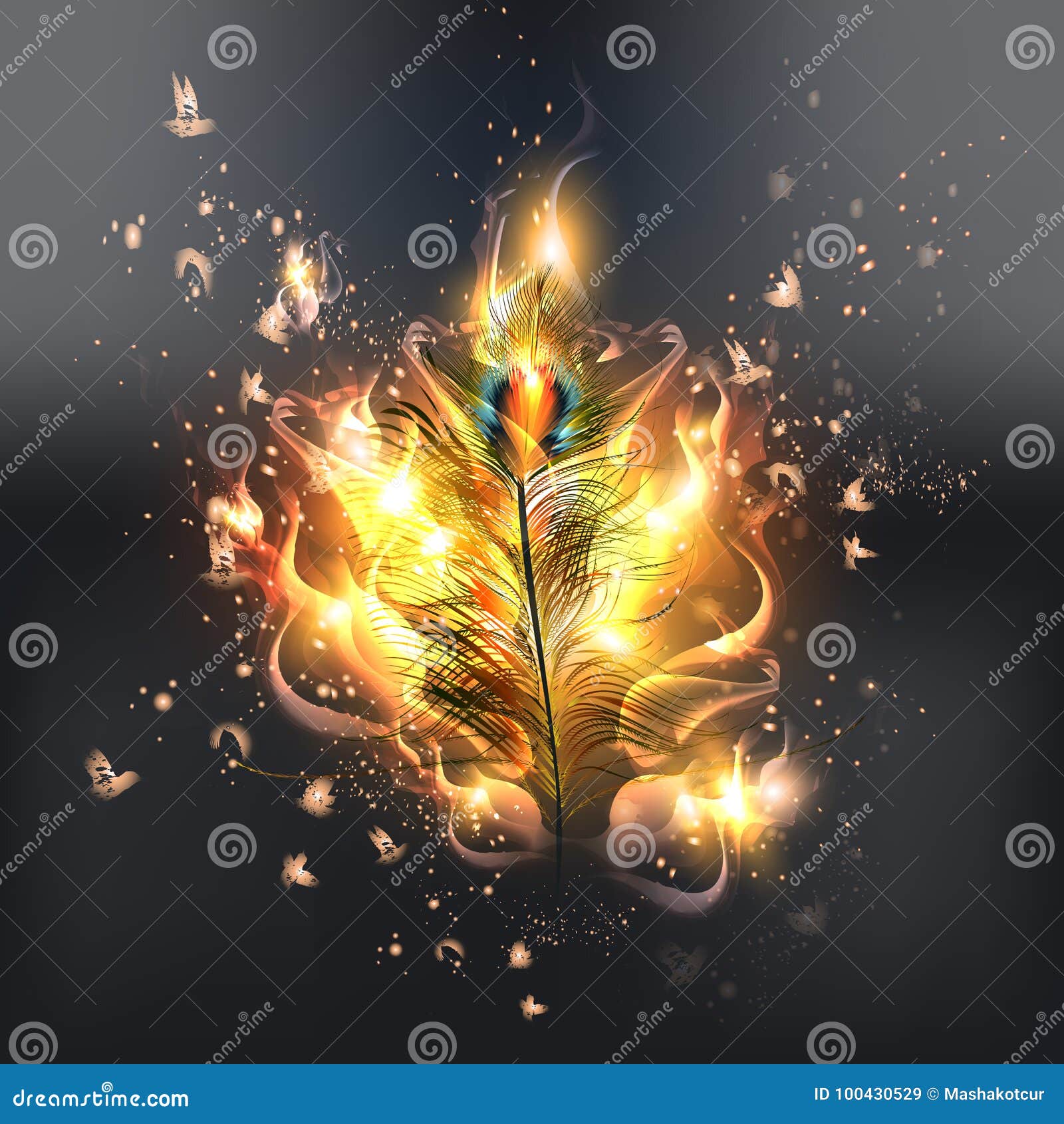 Beautiful Vector Burn Feather Stock Vector - Illustration of burn ...