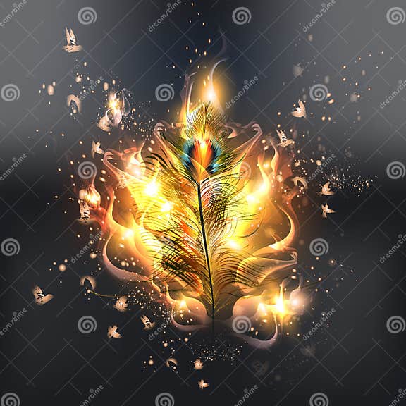 Beautiful Vector Burn Feather Stock Vector - Illustration of burn ...