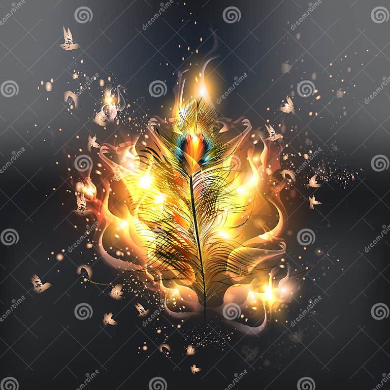 Beautiful Vector Burn Feather Stock Vector - Illustration of burn ...