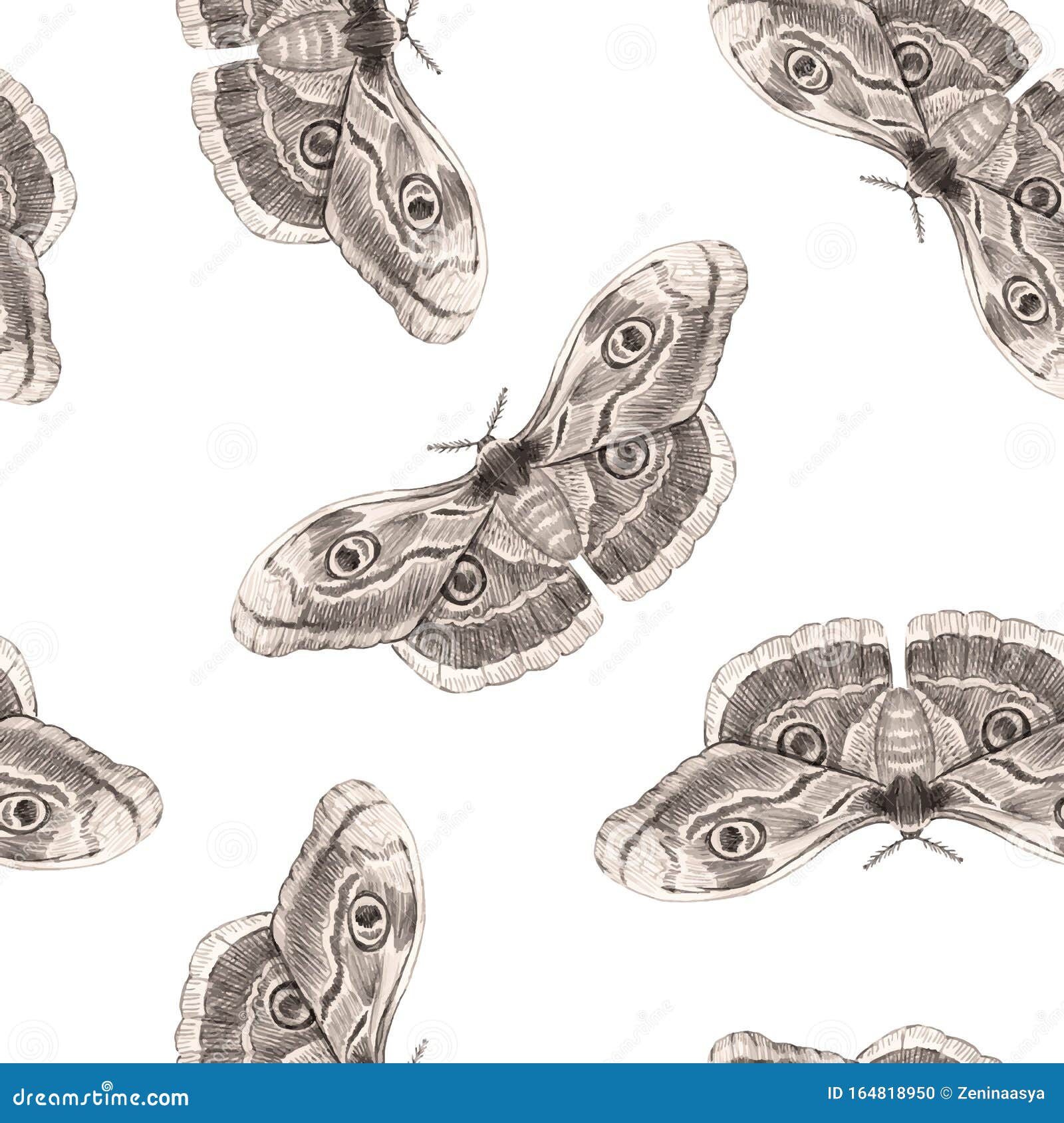 Beautiful Vector Moth Butterfly Seamless Pattern. Ready Print. White ...