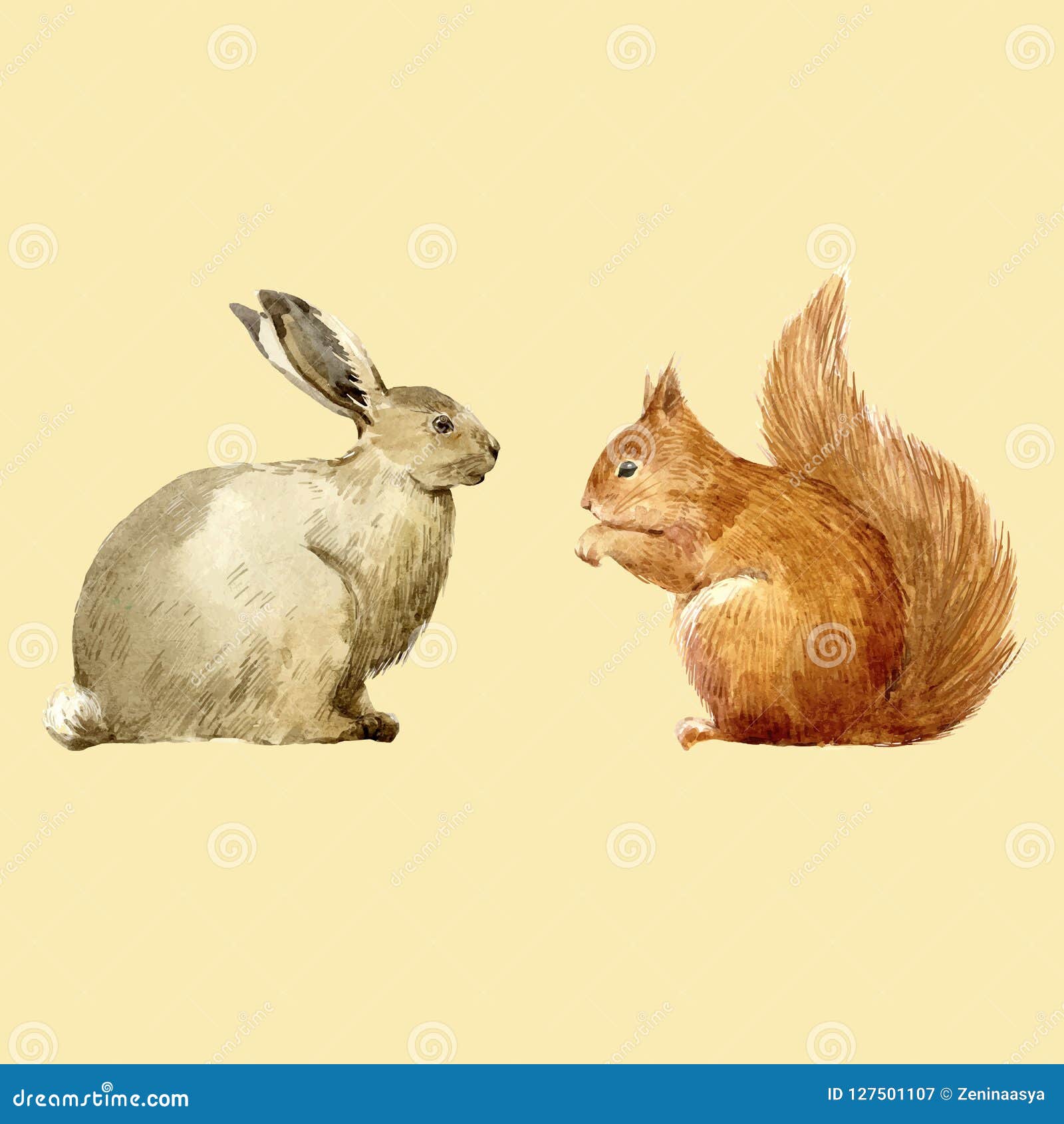 Watercolor Rabbit and Squirrel Vector Set Stock Vector - Illustration ...