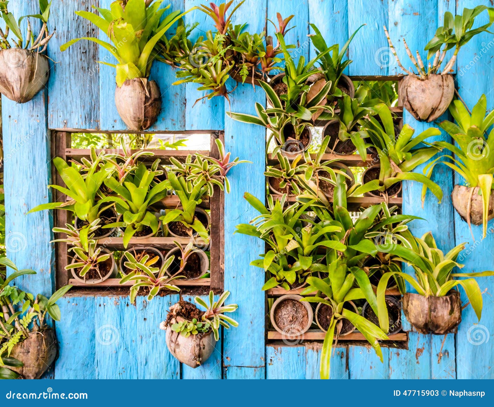 Beautiful vertical garden stock image. Image of ecology - 47715903