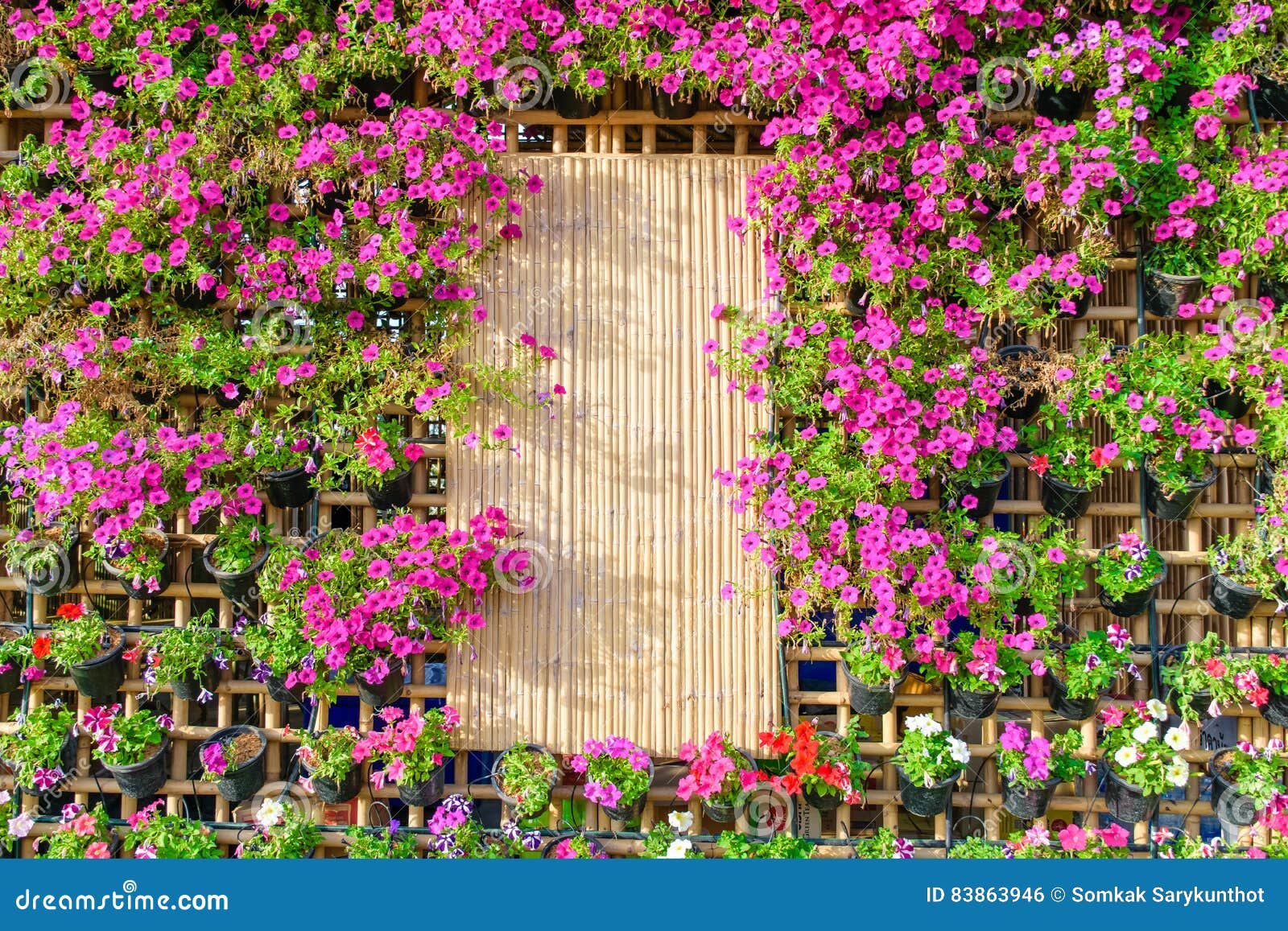 Beautiful Vertical Spring View Of Young Tree With Fresh Spring Leaves ...